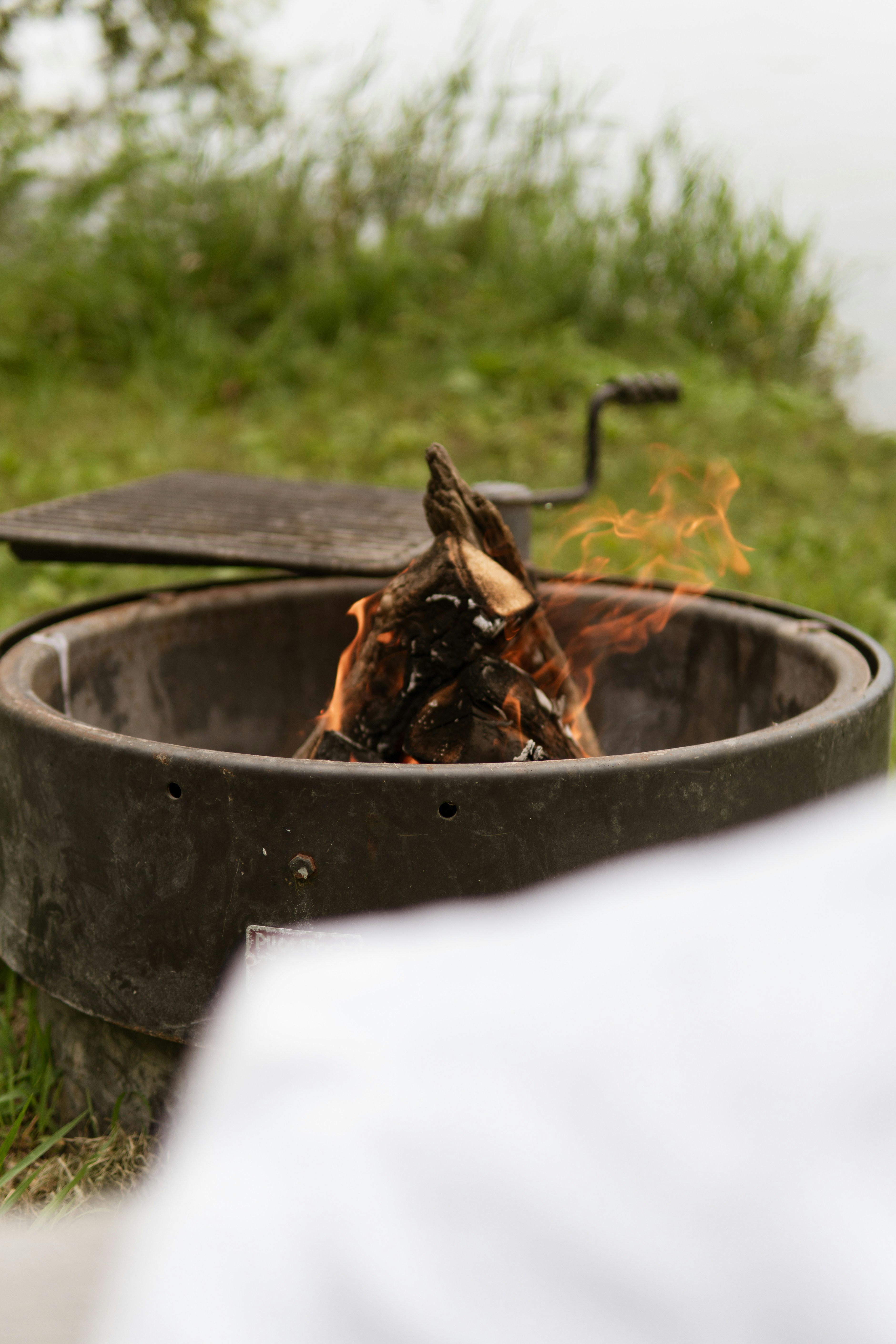 Campfire Ring: Charred Logs in a Metal Fire Pit with a Grassy Backdrop