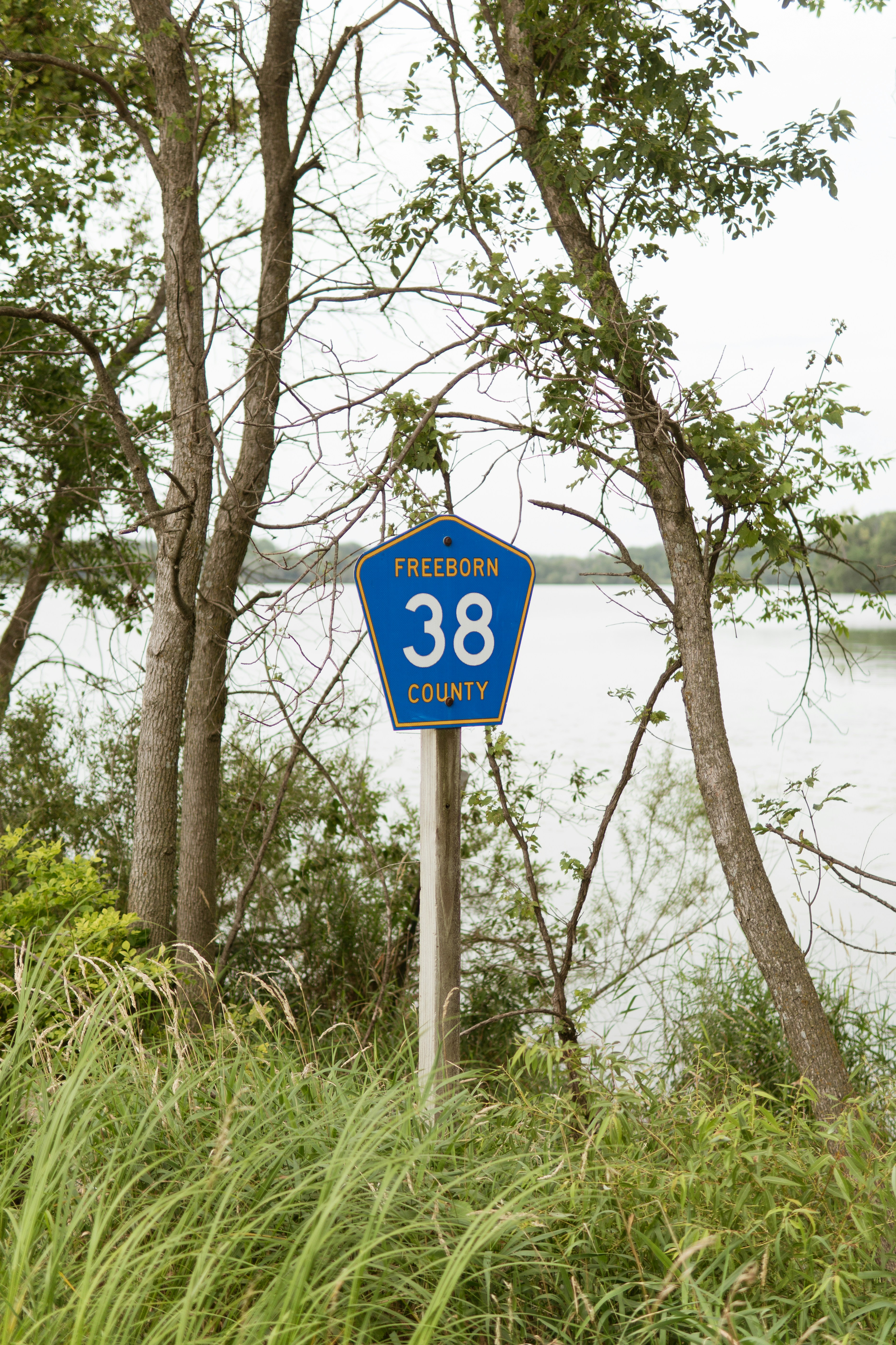 Ontario Route 38: A Quiet Sign Among the Reeds