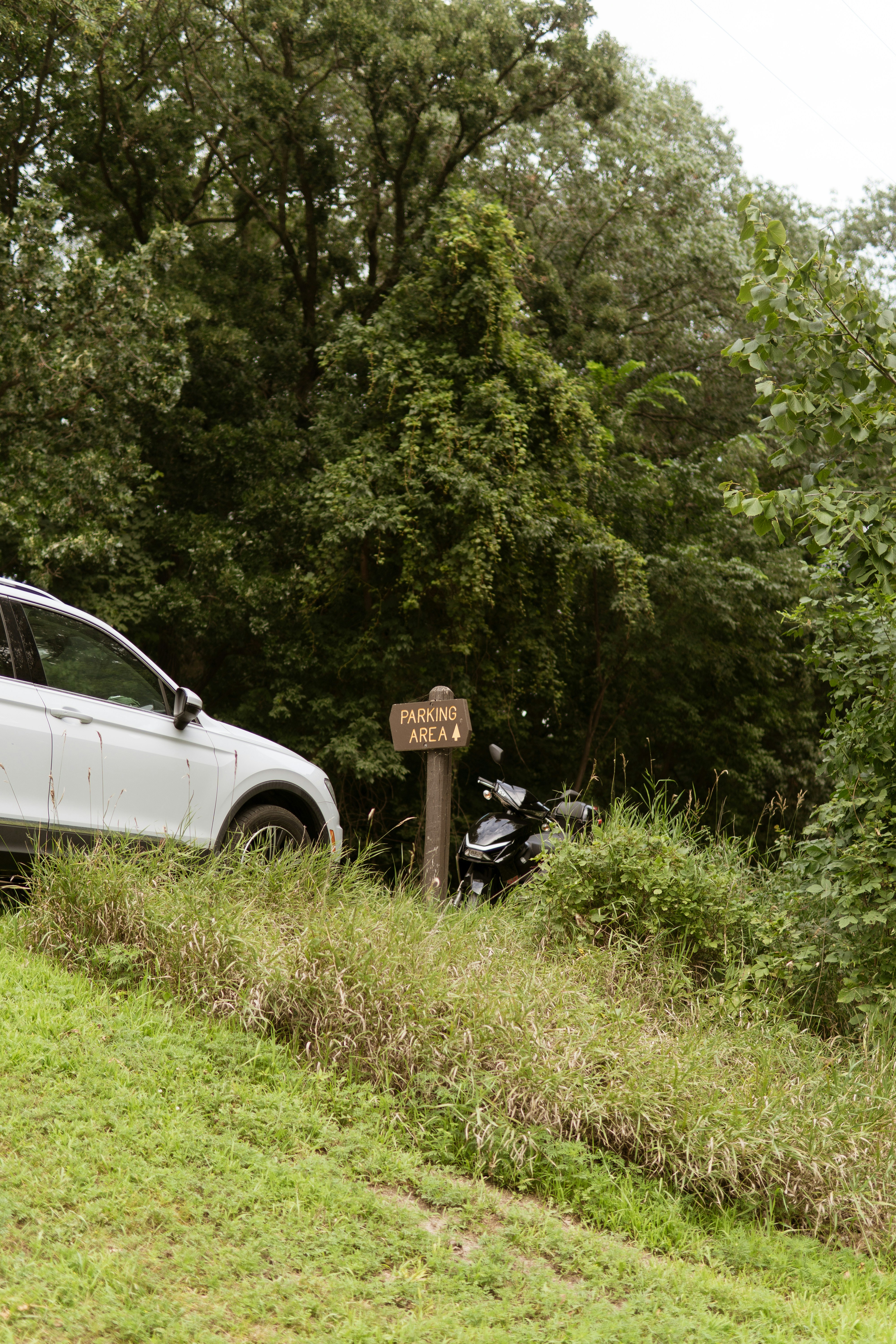 Hidden Parking Registry by the Edge of the Wood