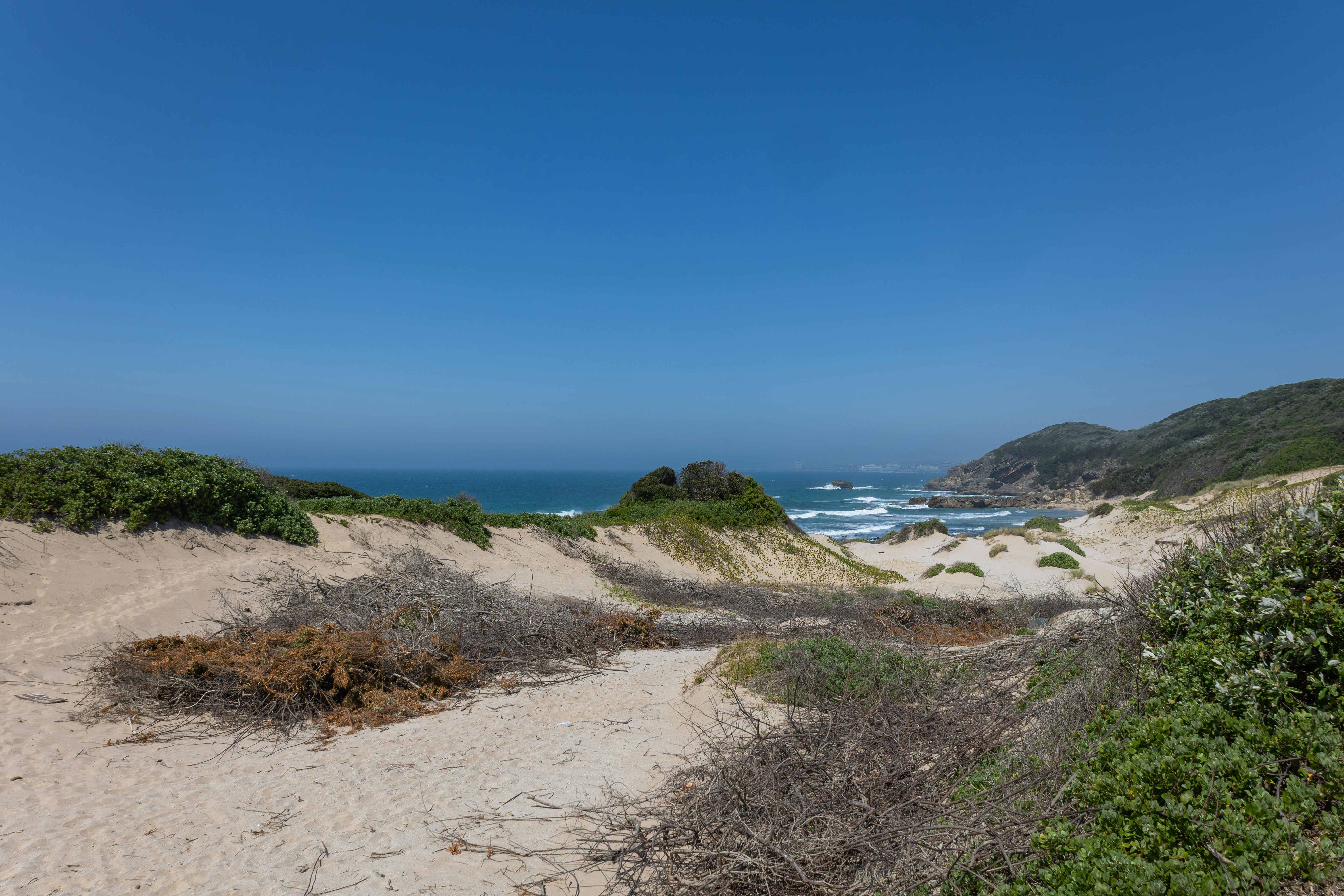 Coastal Sand Dunes Framing the Horizon