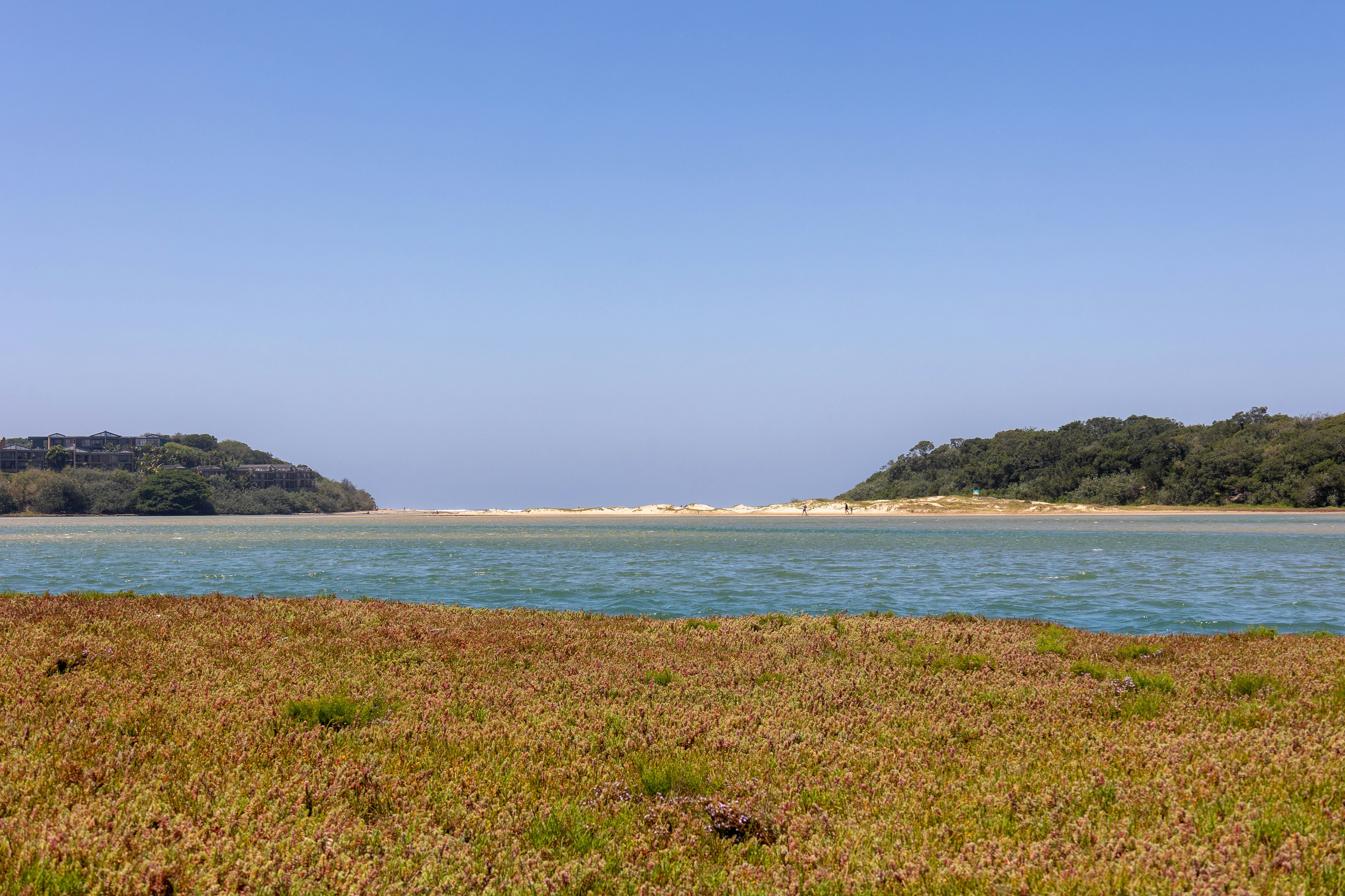 Coastal Meadow Meets Open Water under Clear Skies