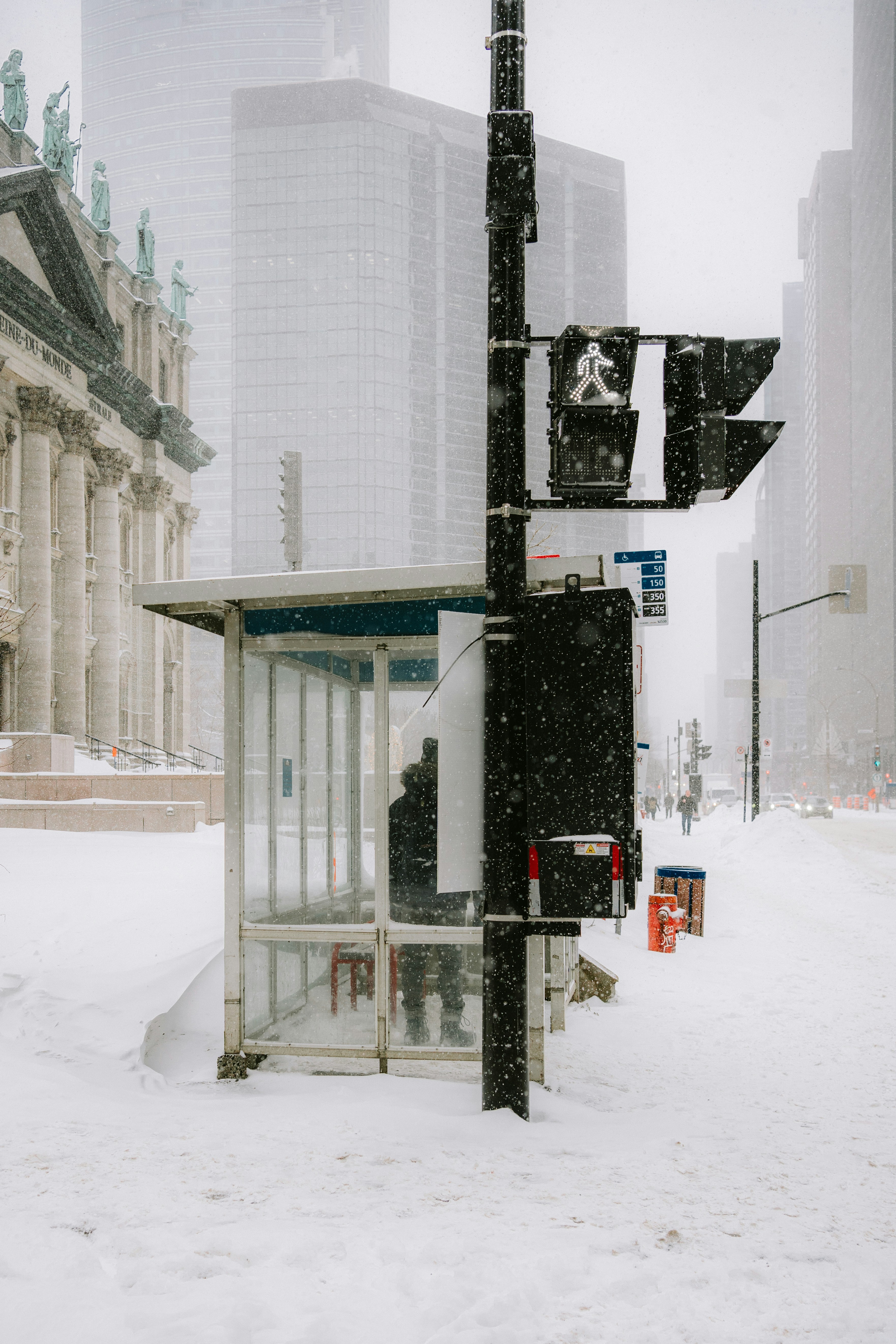 Snowfall at a City Bus Stop: Silence Beneath Rising Skyscrapers