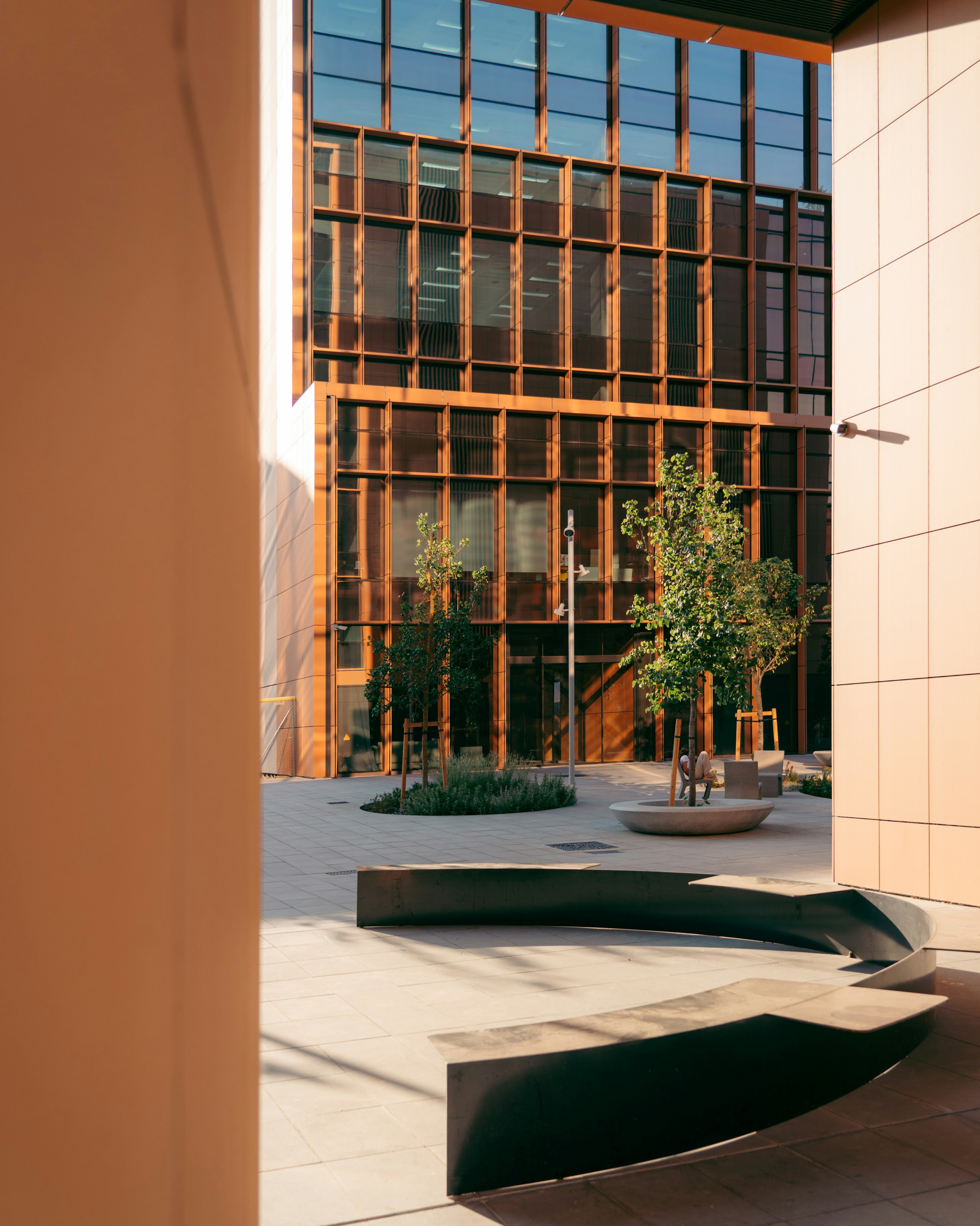 Sunlit Courtyard Spotlight on Modern Façade and Circular Planters