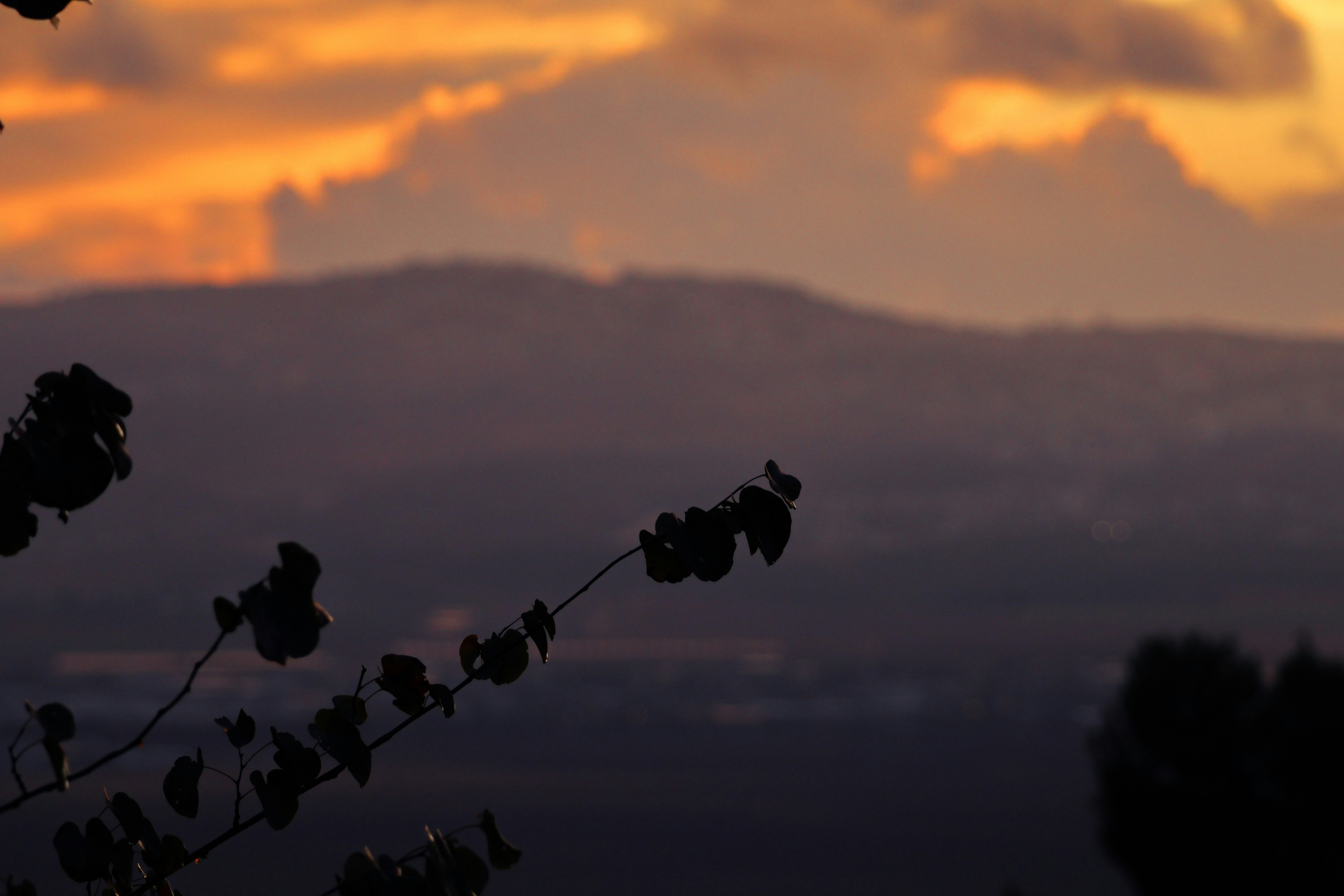 Silhouette on the Horizon at Sunset