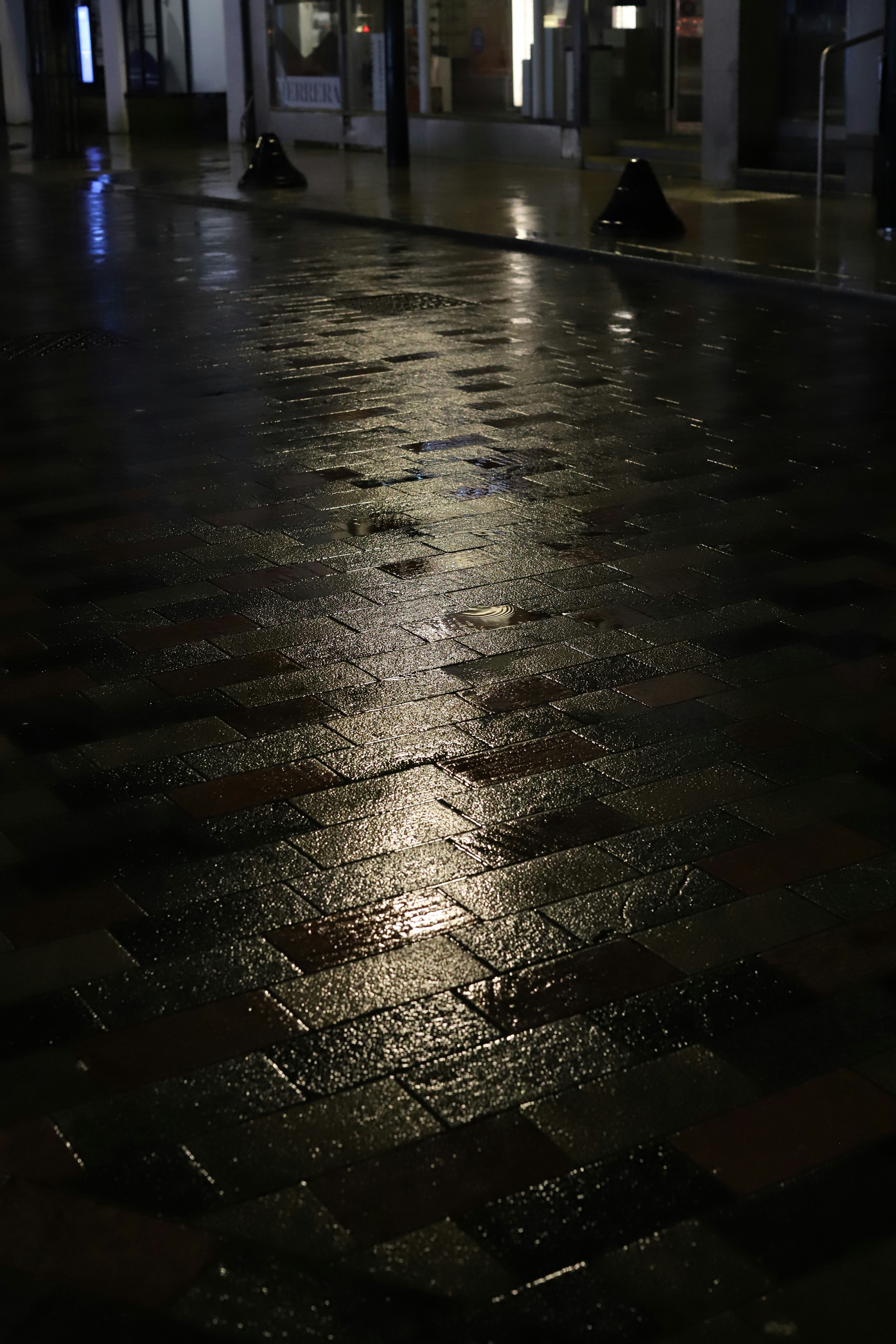 Rain-Kissed Pavers Reflect the Night Lights Outside a Quiet Entrance