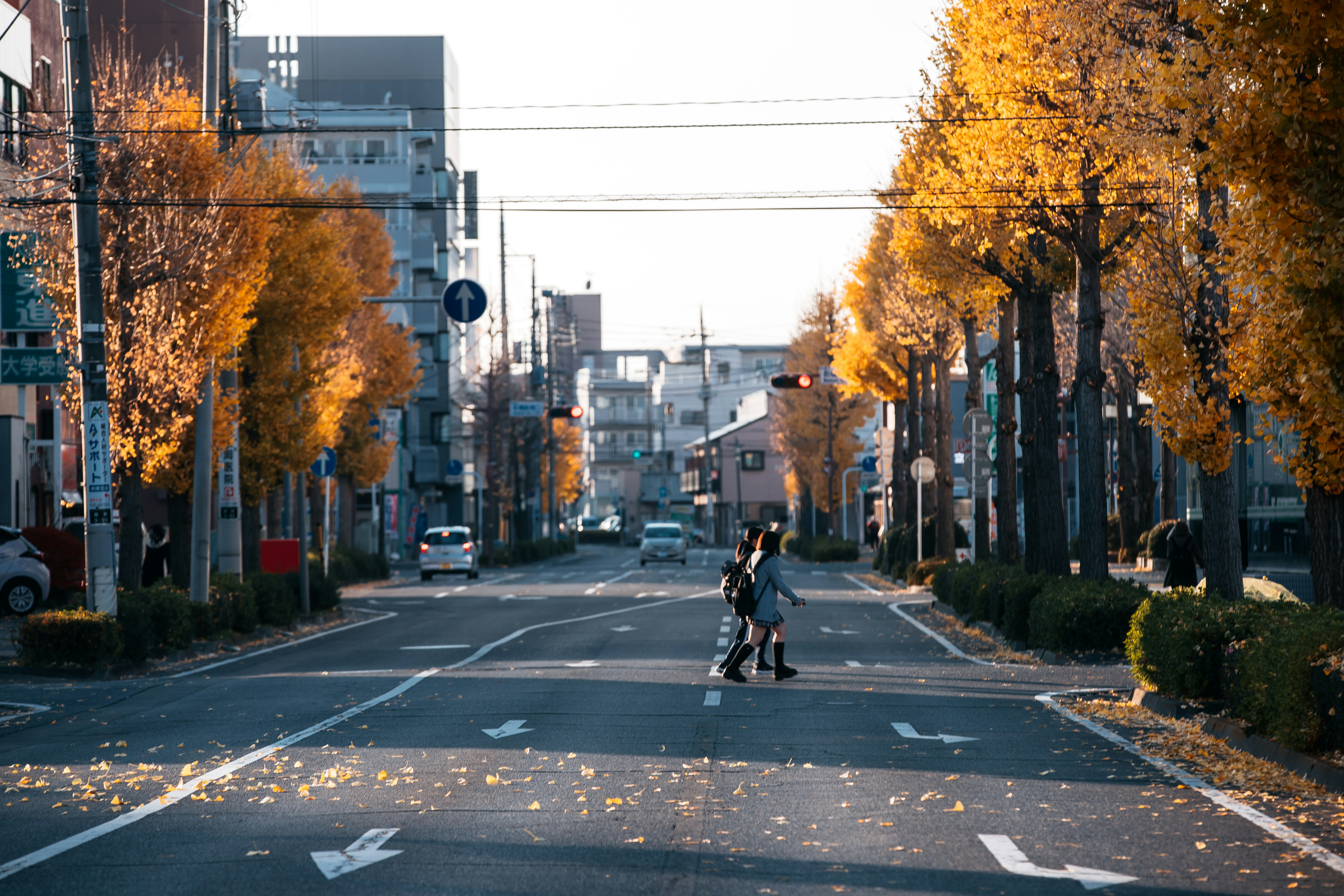 Autumn Crosswalk: Quiet Street Scene Framed by Golden Trees