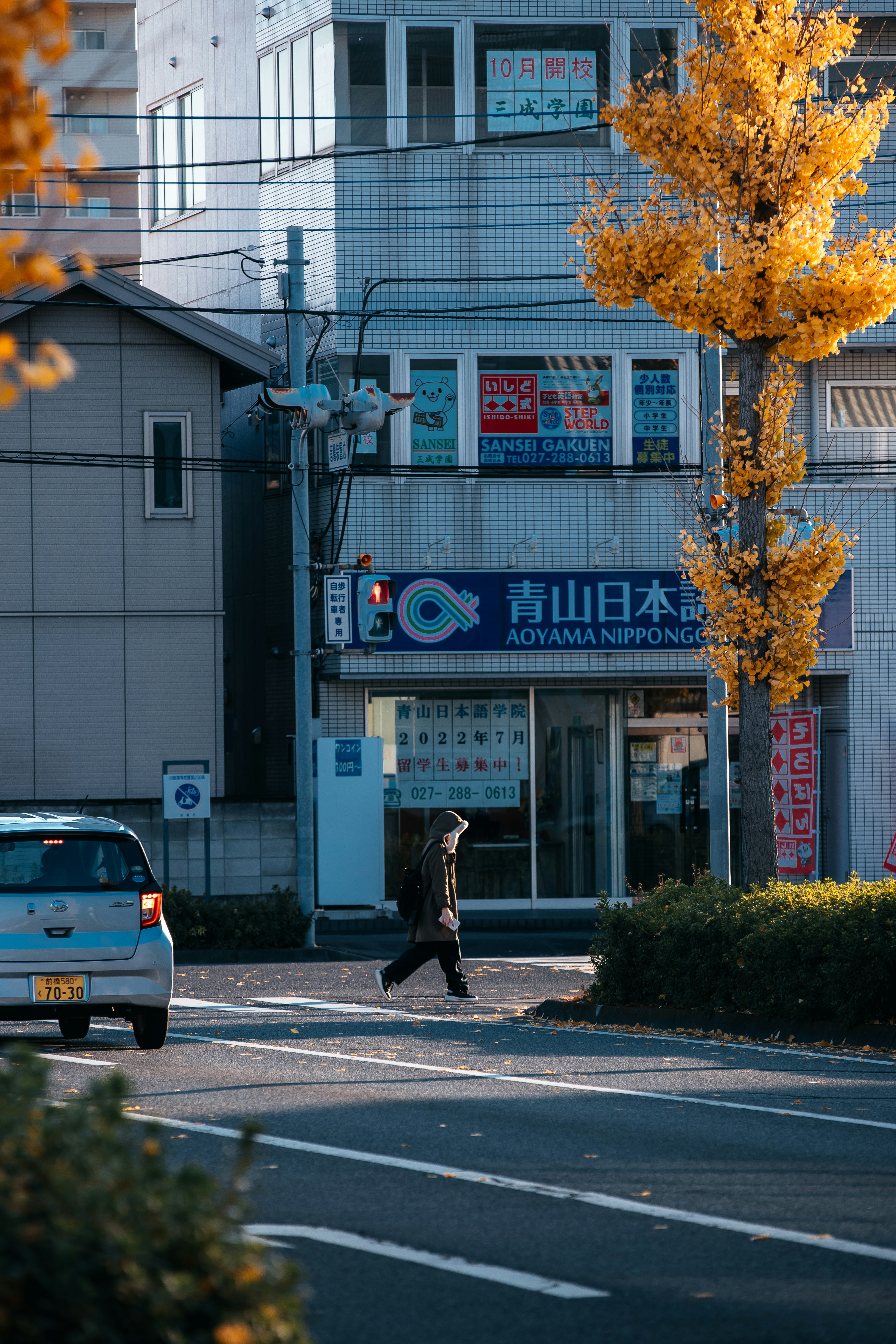 Crosswalk Quiet: Autumn Light Over the Aoyama Street