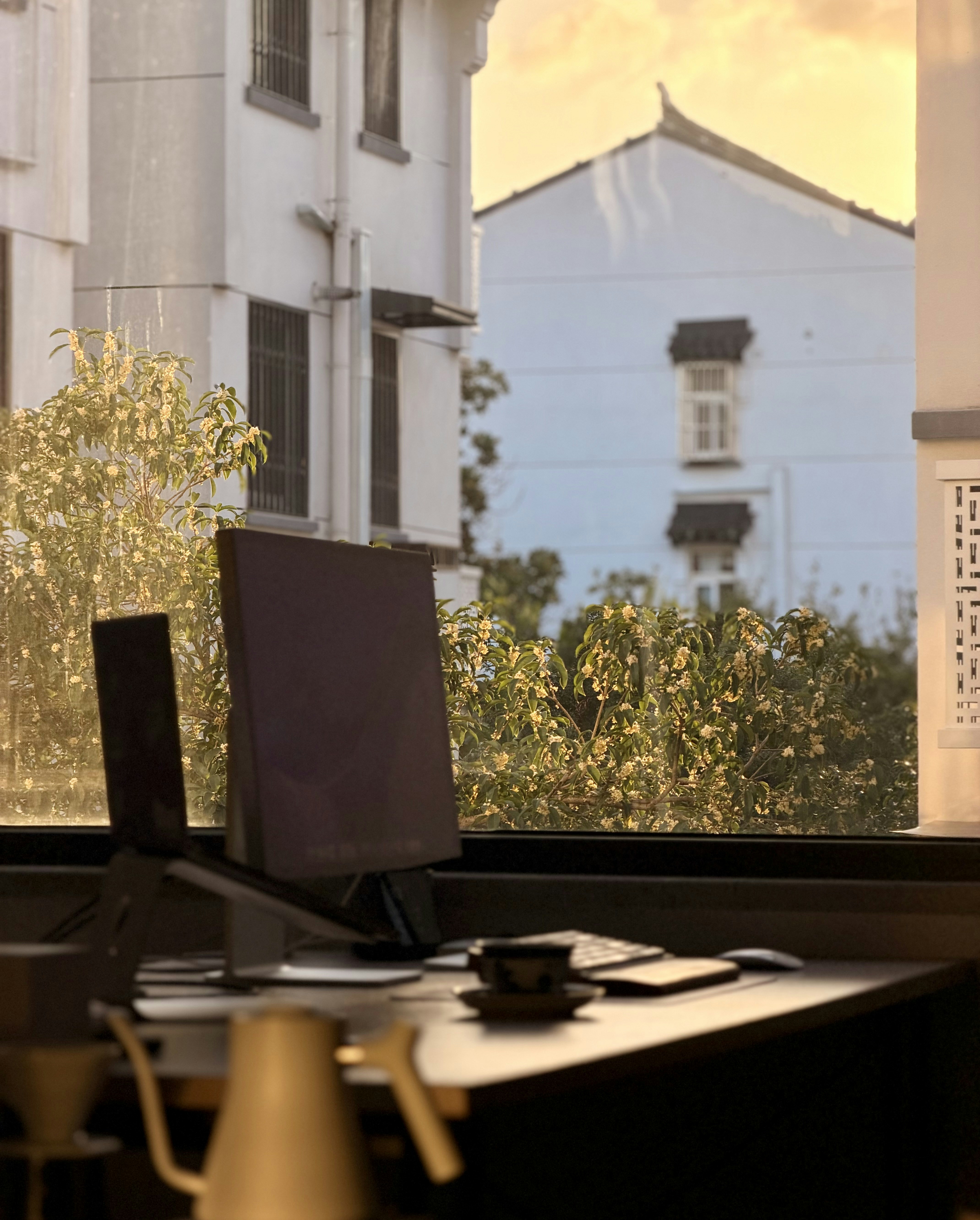 Desk at Dusk: A Window View of Quiet Greenery