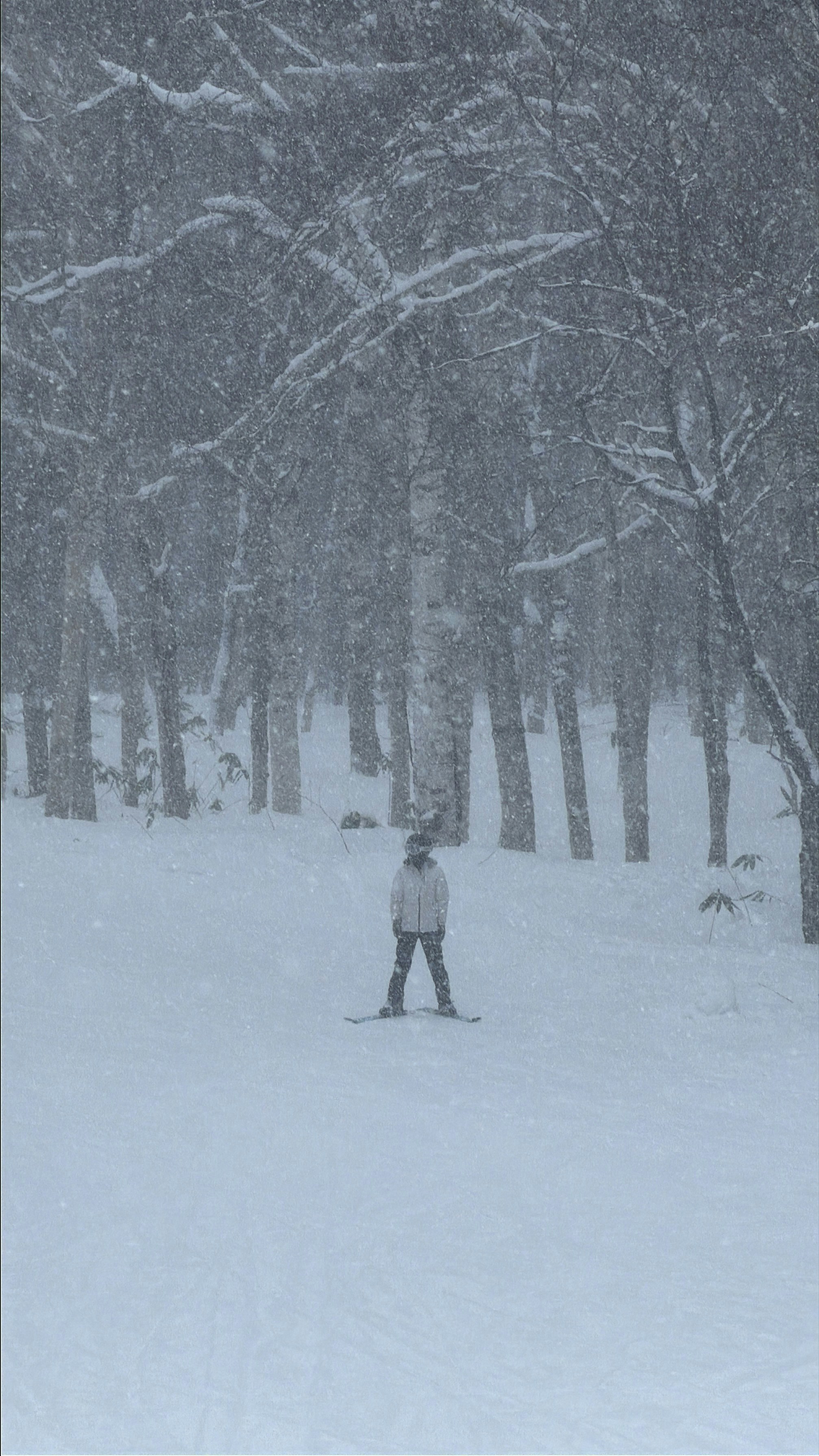 Silent Snow Player in the Winter Woods