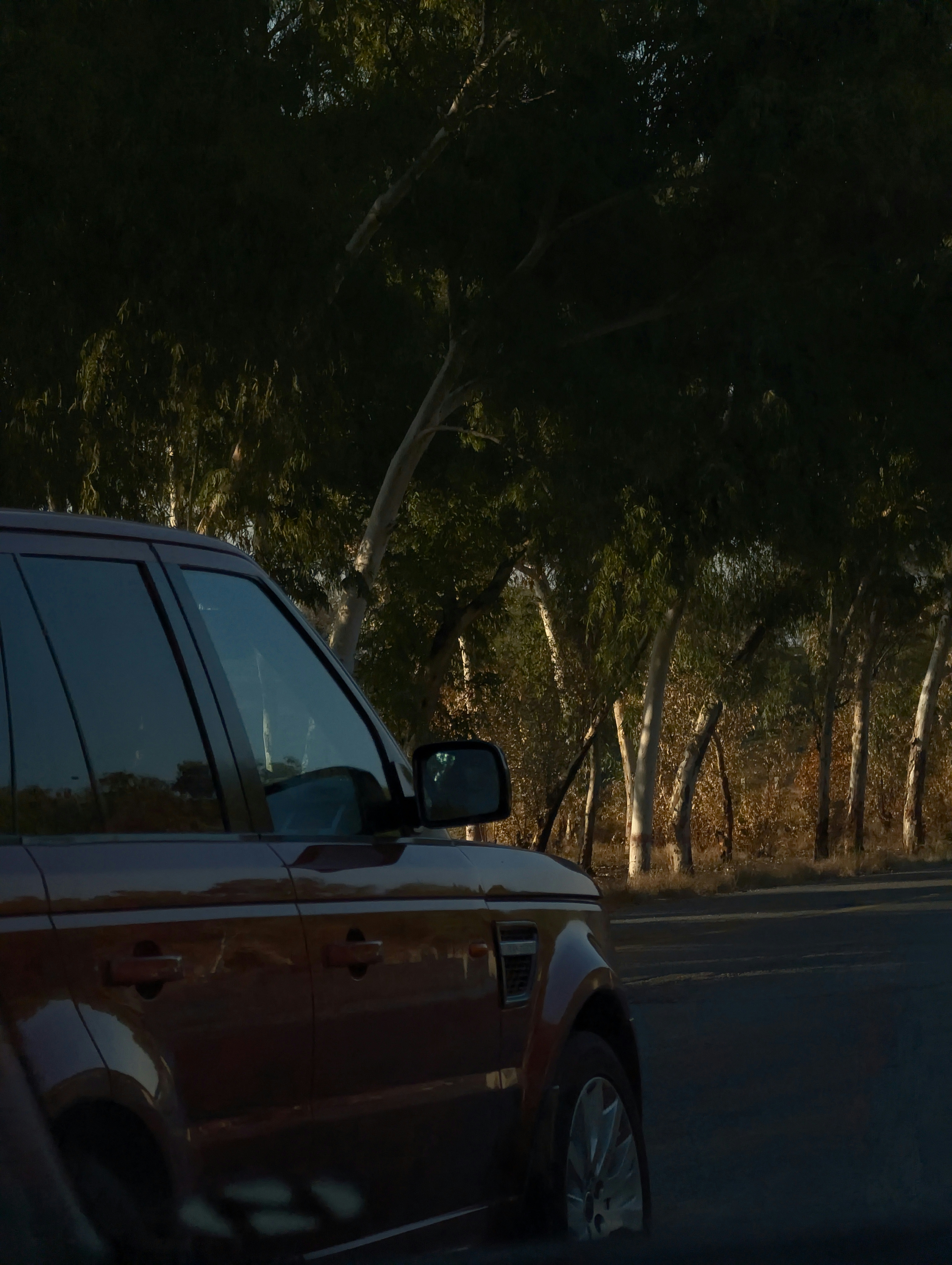 Brown SUV at the Edge of a Shaded Road