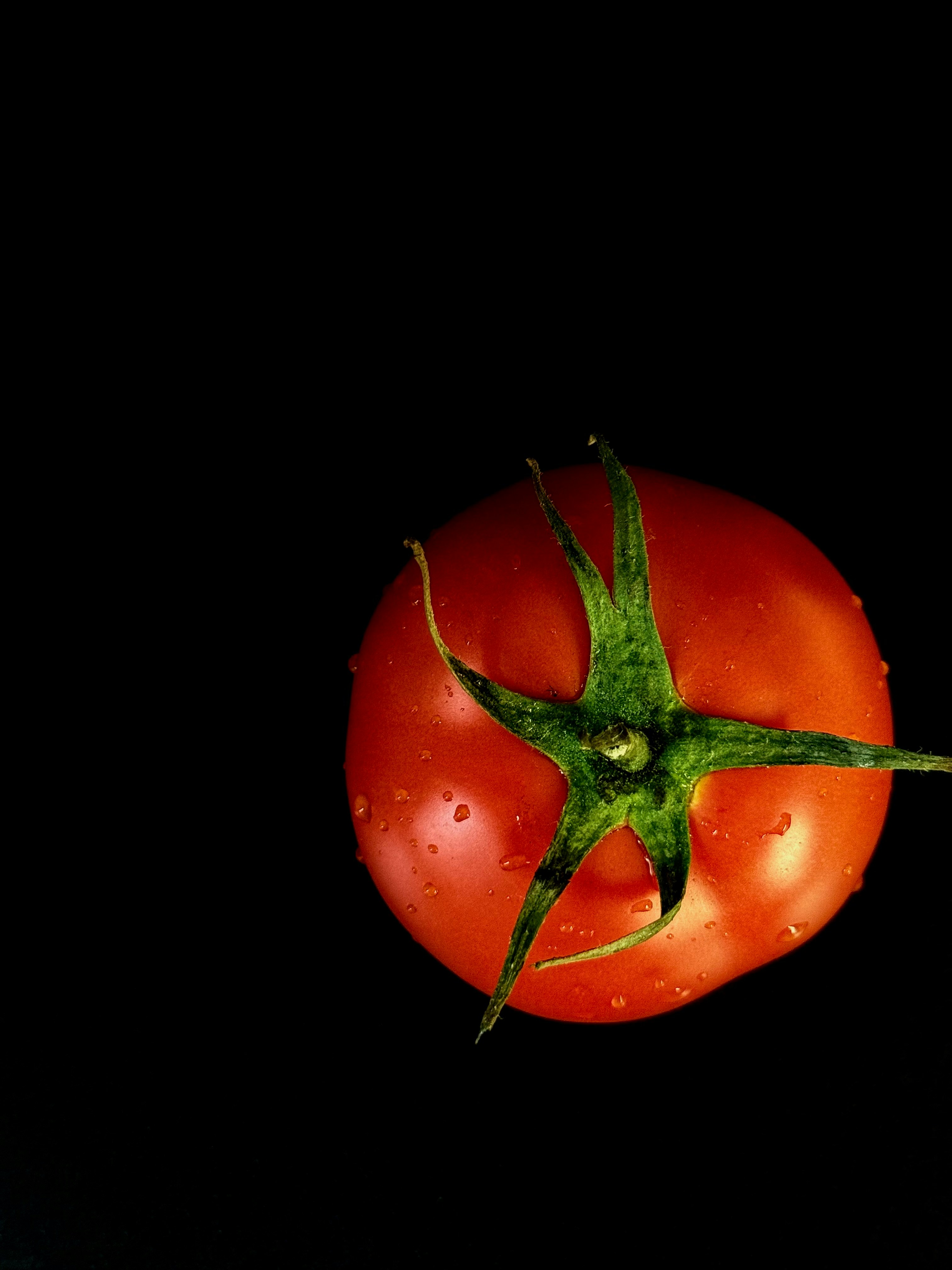 Tomato on Black: A Glowing Ember Against Night