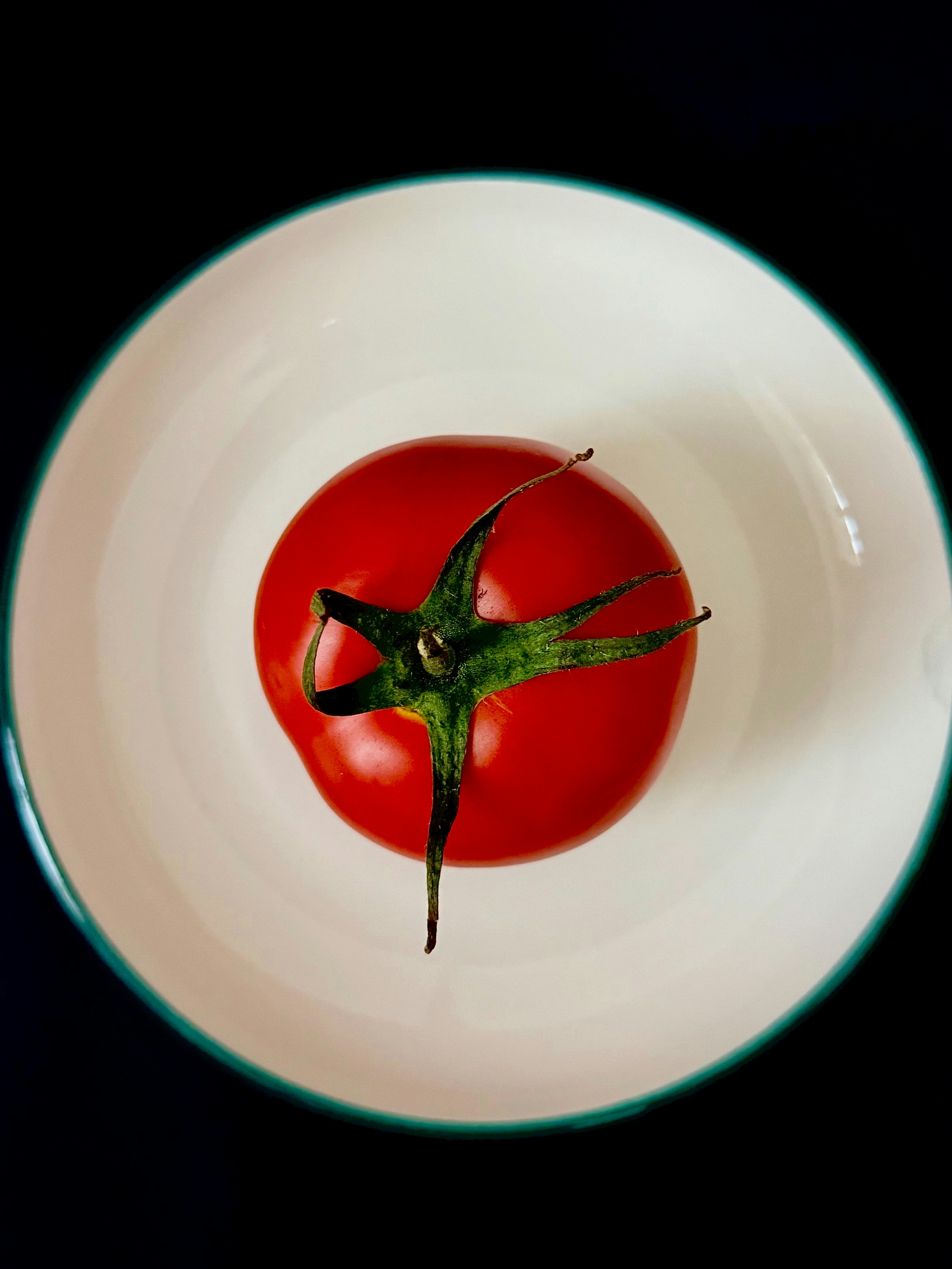 Center Stage: A Tomato in a White Cup, Framed by Dark Velvet