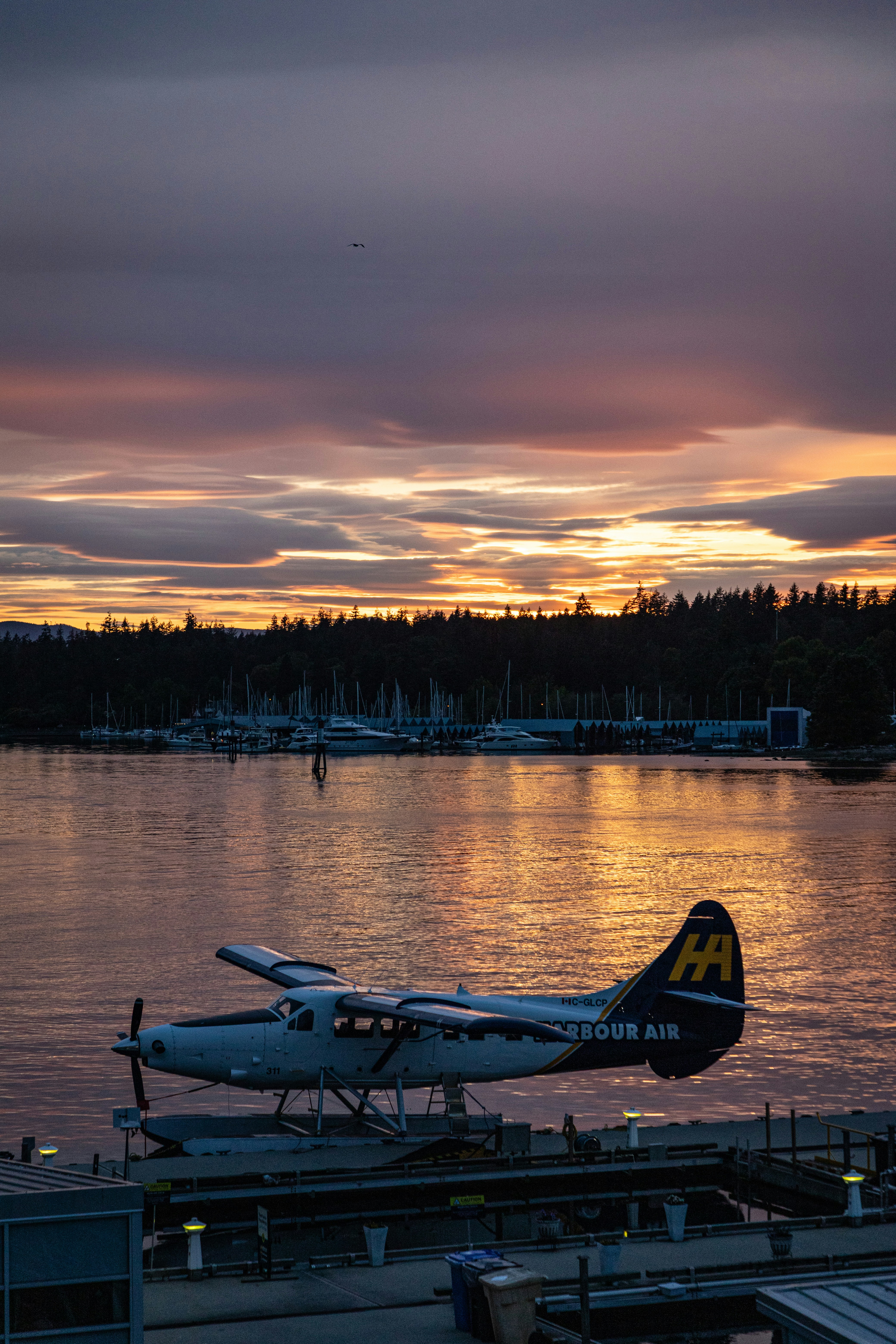 Sunset Seaplane at the Dock: Quiet Convergence of Sky, Water, and Wings