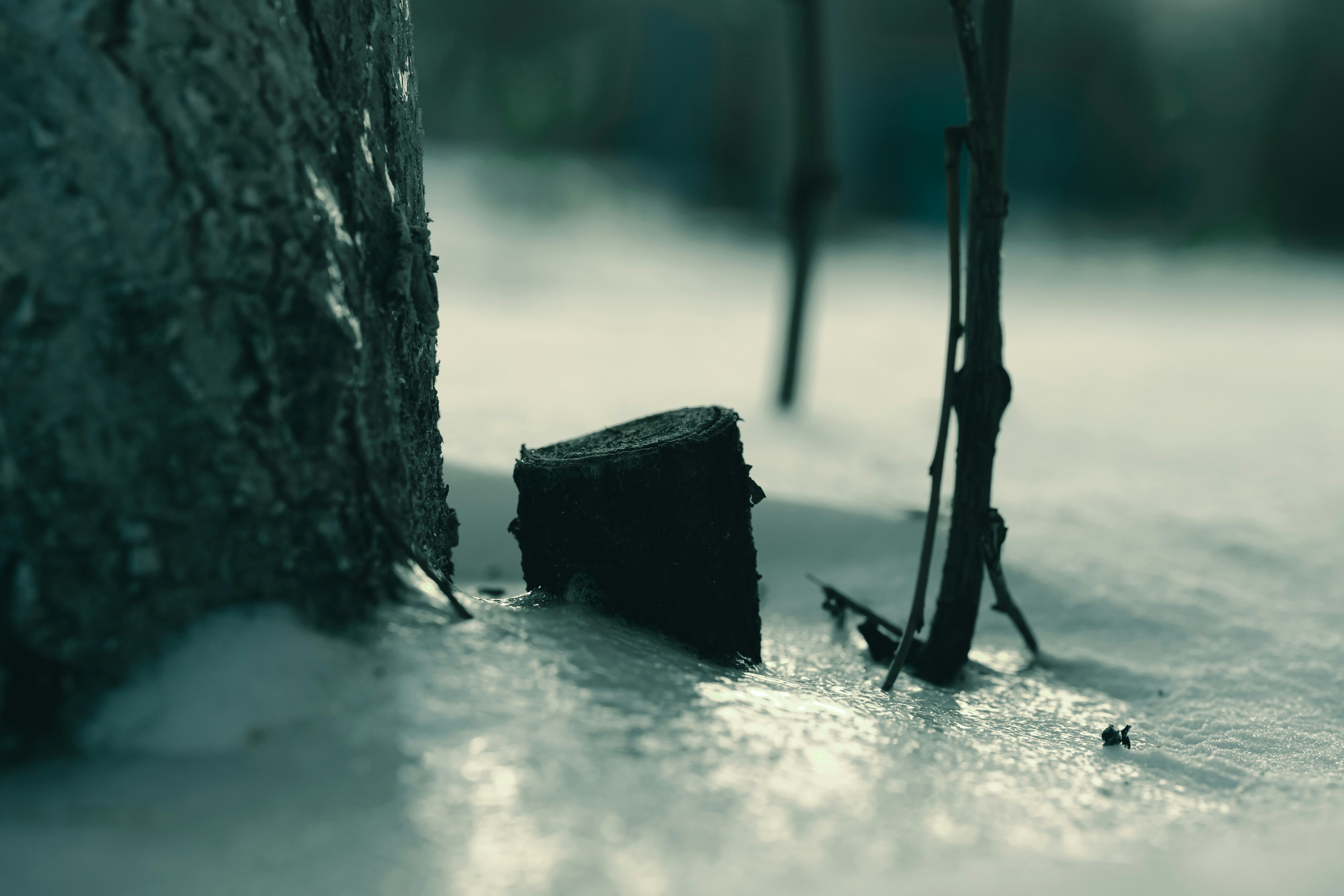 Snow-Glossed stump and twig Vestige in a Quiet Forest