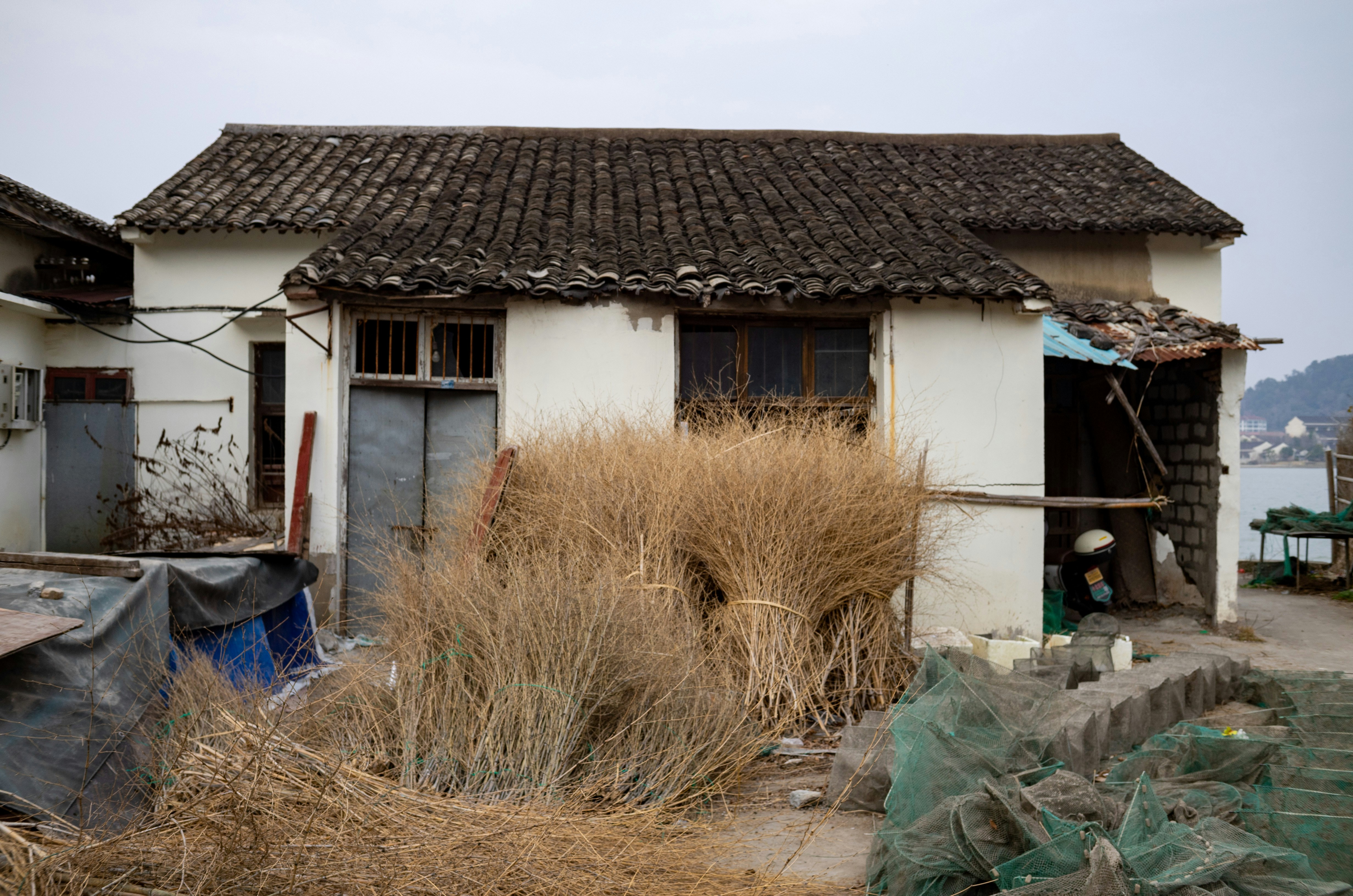 Weathered seaside hut with a tiled roof, overgrown grasses and scattered debris along a concrete path by the shore.
