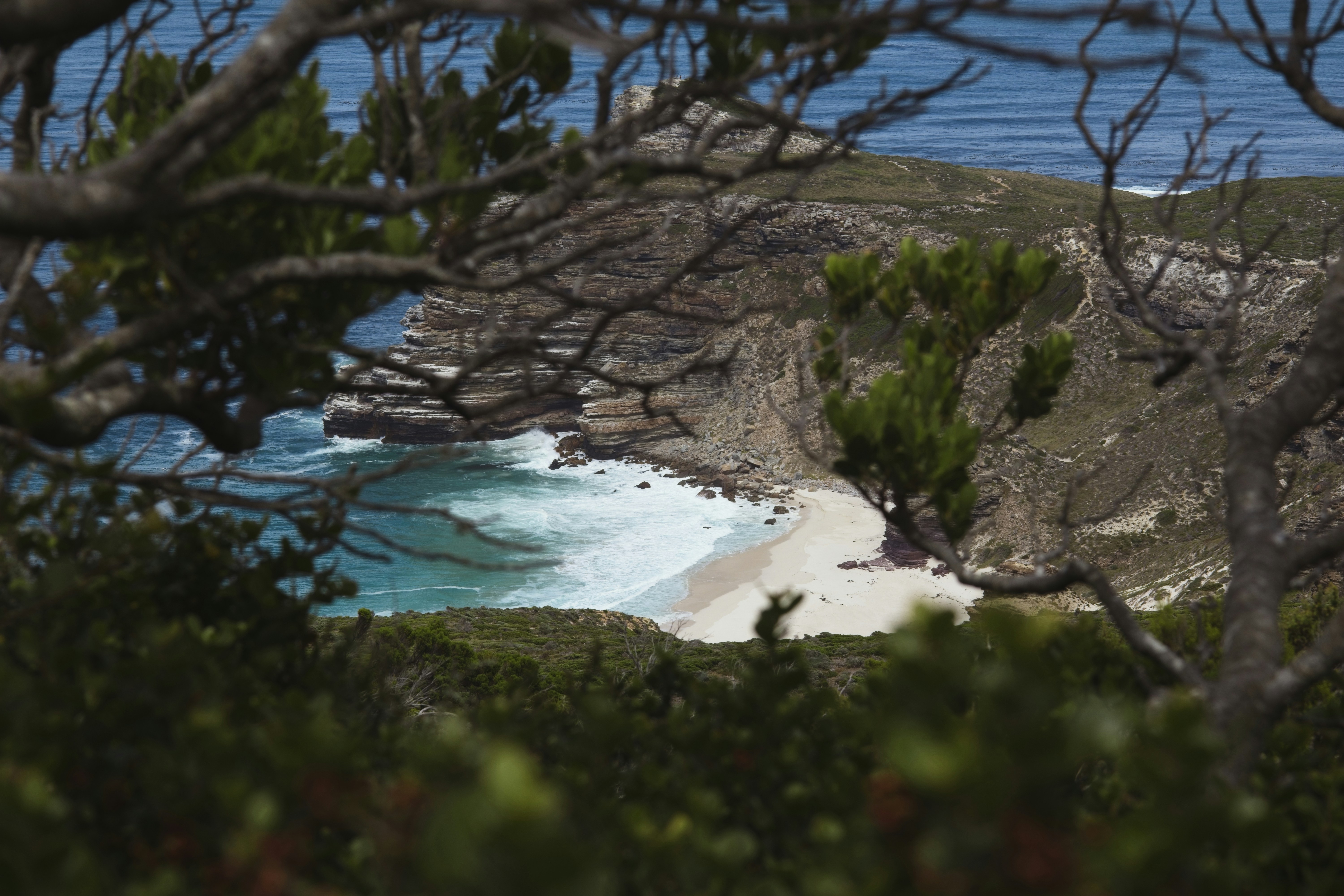 Hidden Cove: A Secluded Beach Framed by Framing Branches