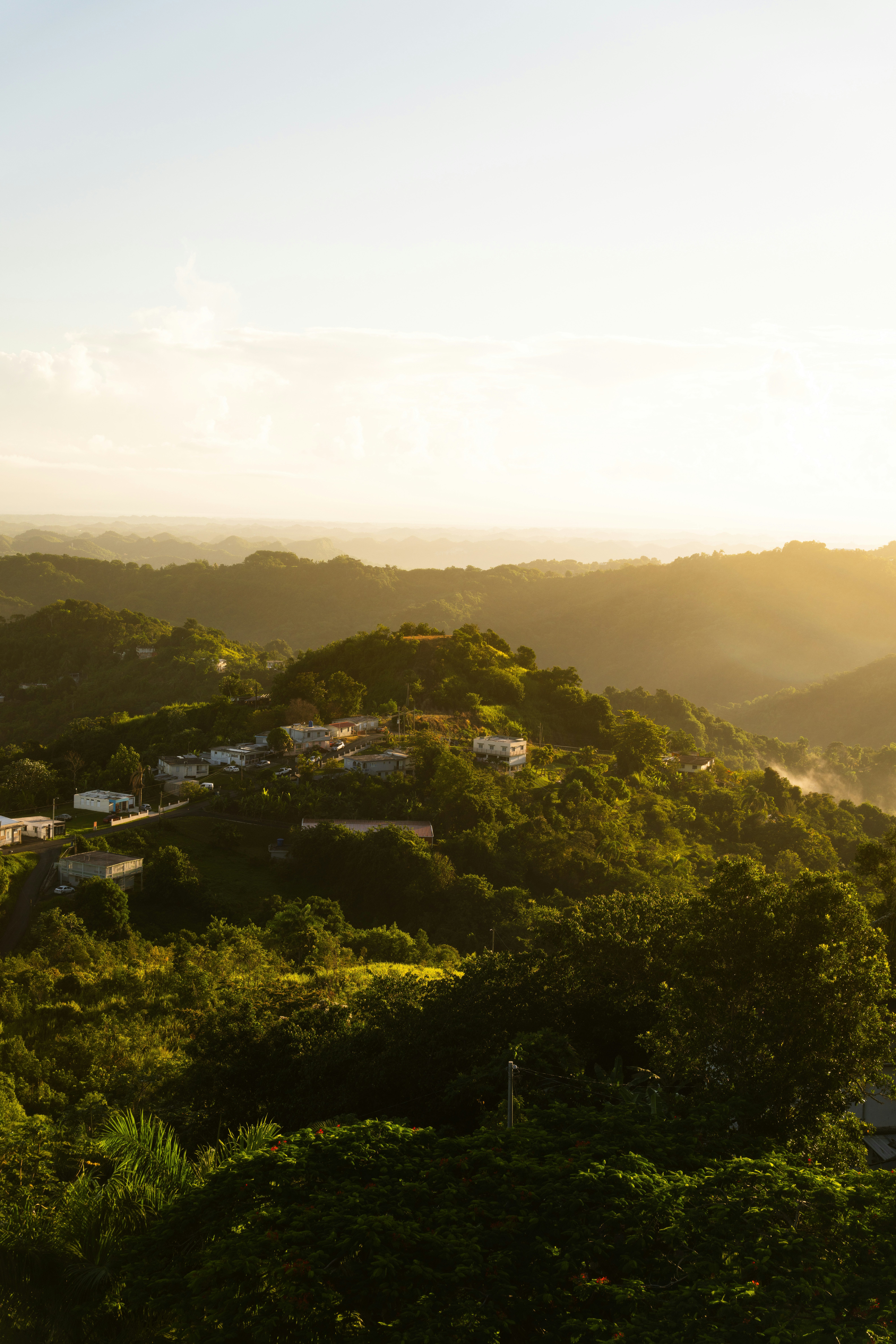 Rolling green hills with houses at sunset