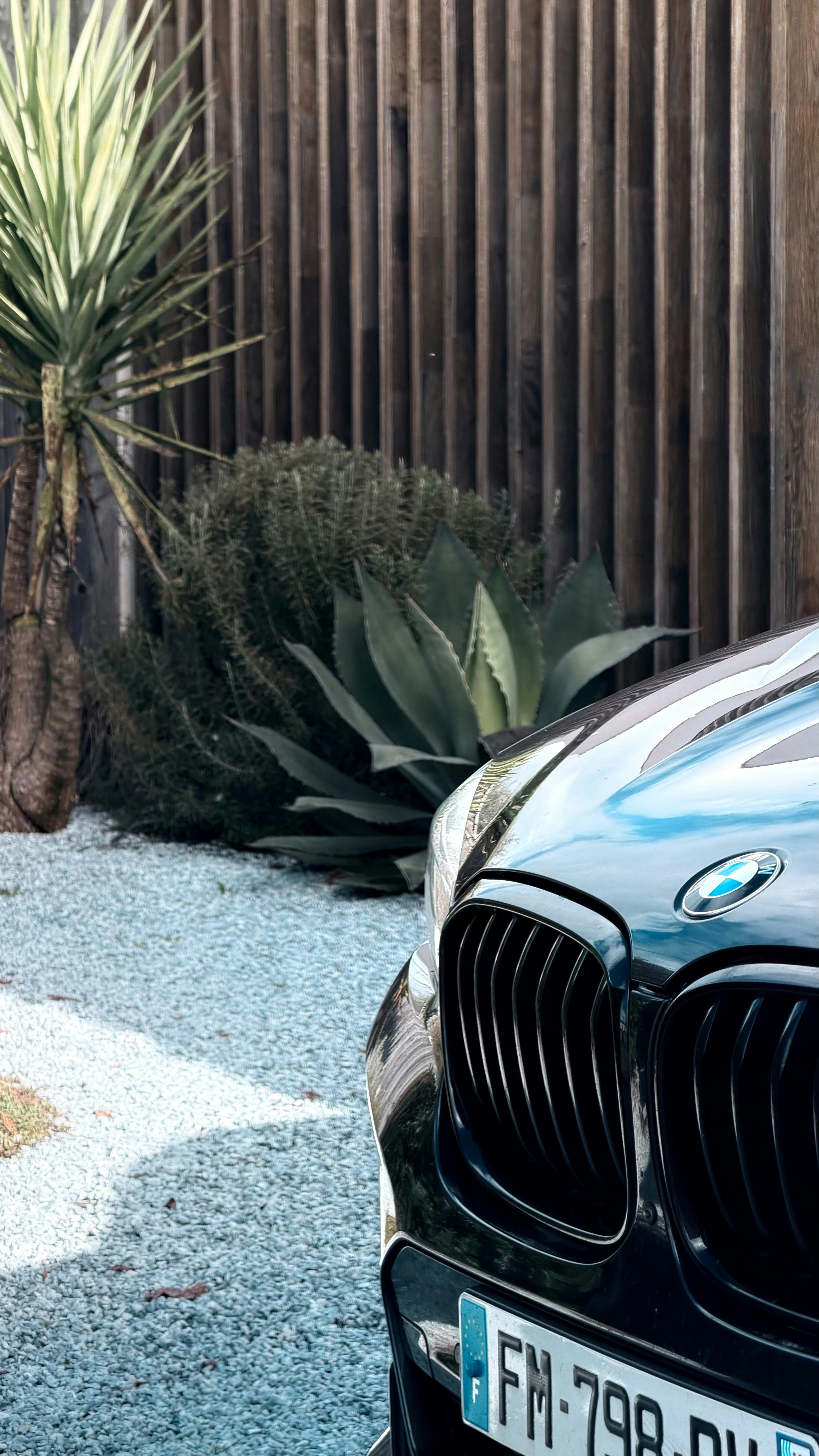 Front Grille and Badge: A Luxurious BMW Arrival