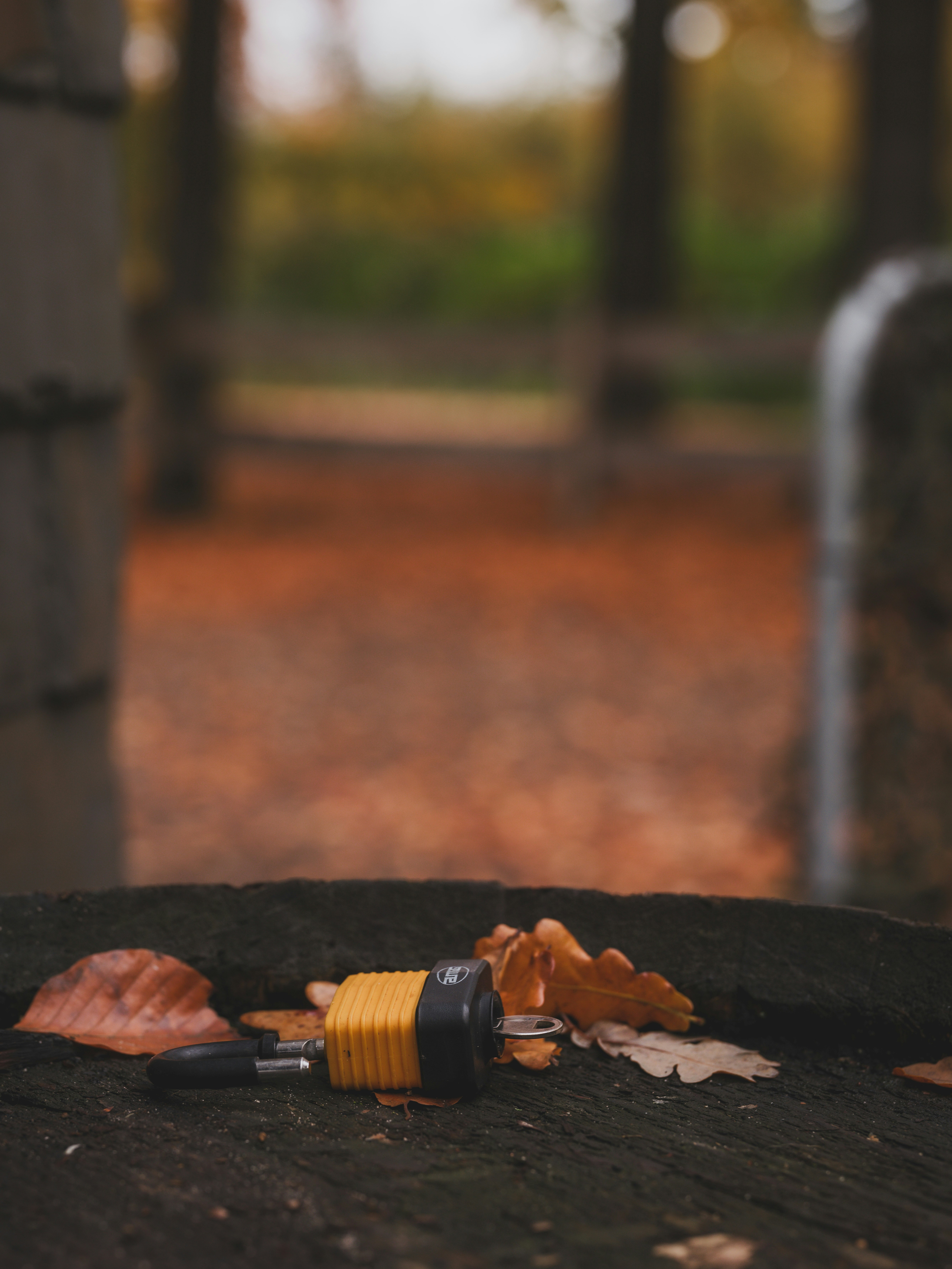 A Lock of Security Resting on a Weathered Surface
