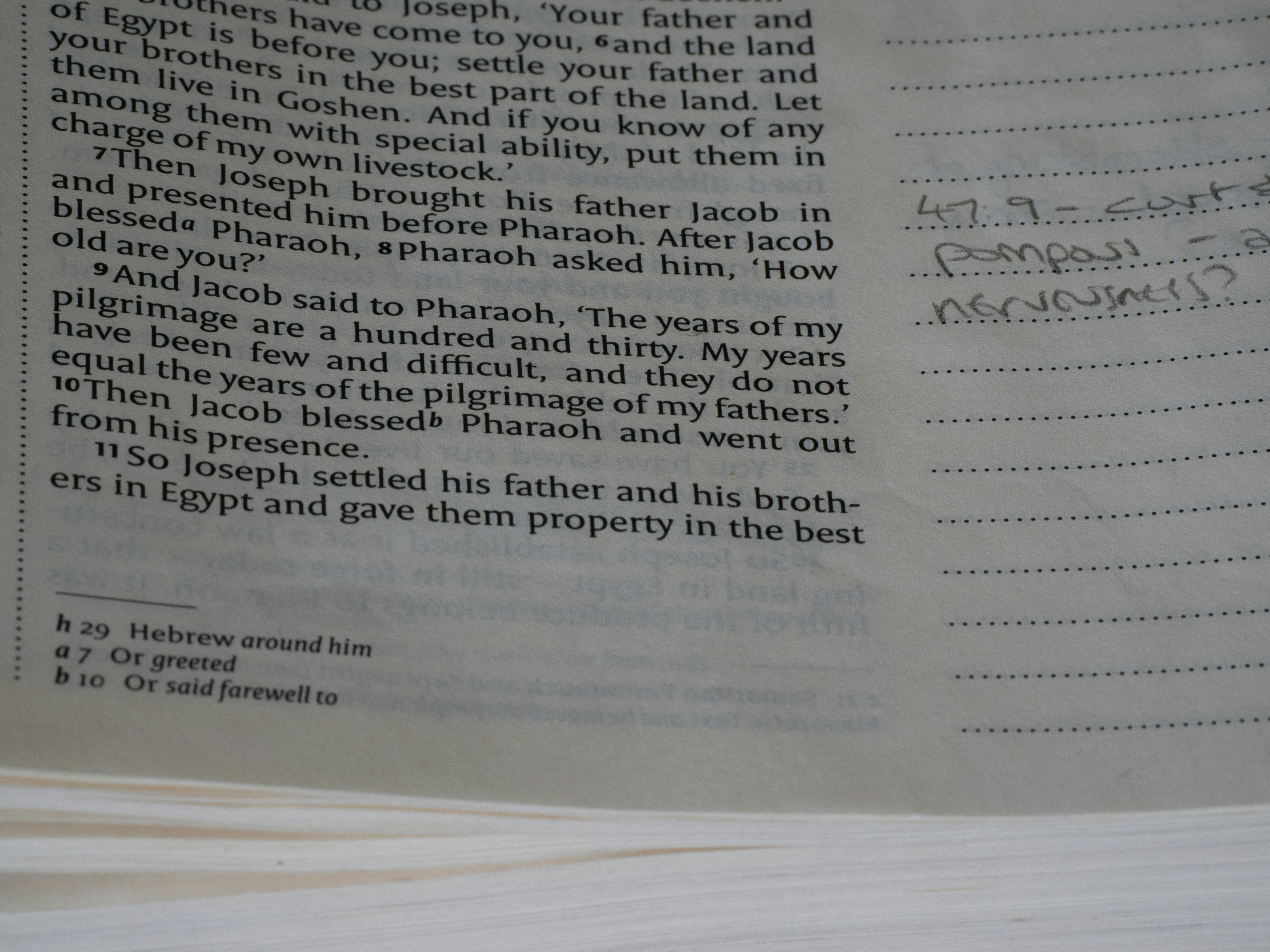 Fragmented Manuscript: A Page of Text with Scribbled Notes