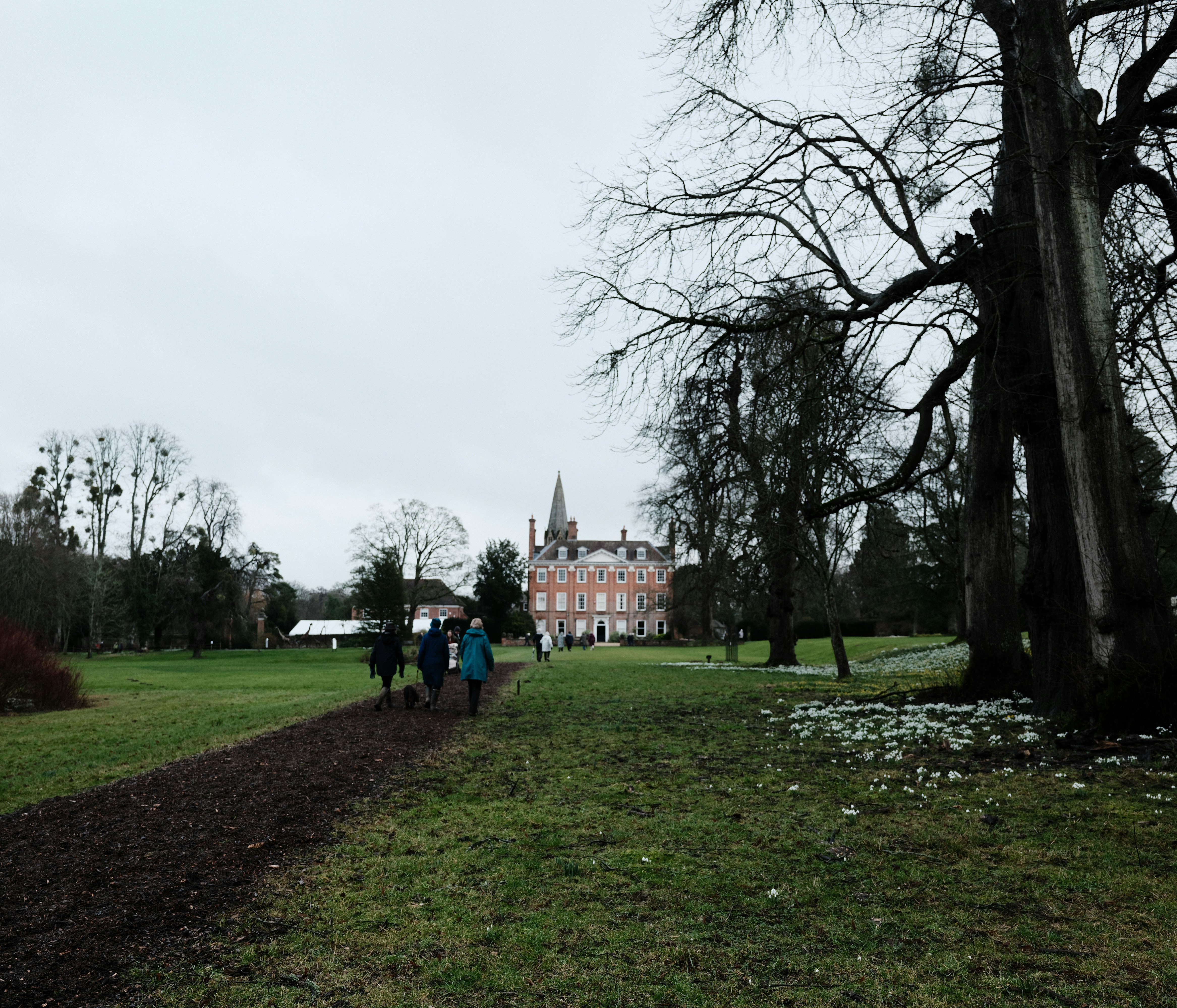 Path to the Manor: A Seasonal Walk Toward a Central Courtyard