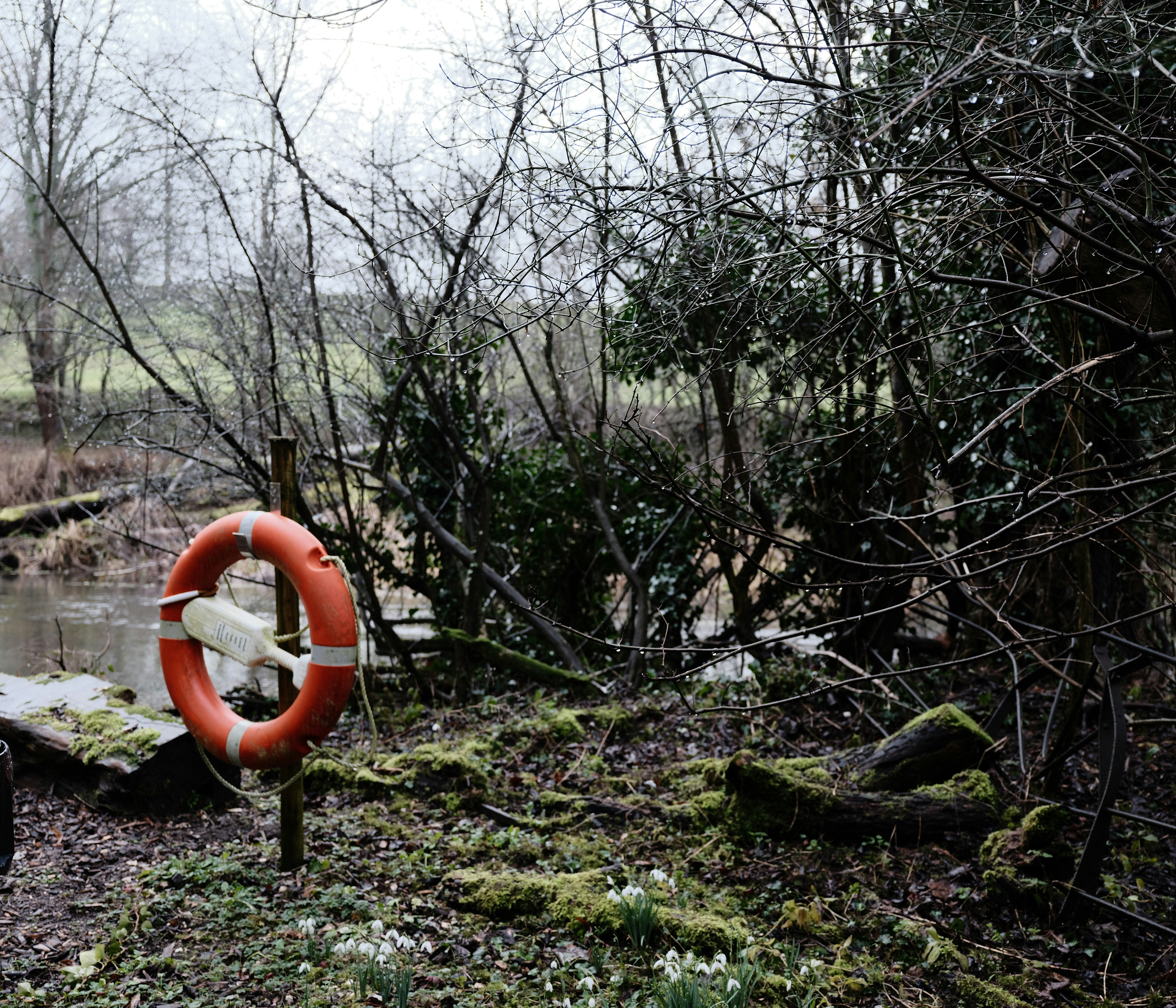 Midwinter Lifebuoy by the Quiet Stream