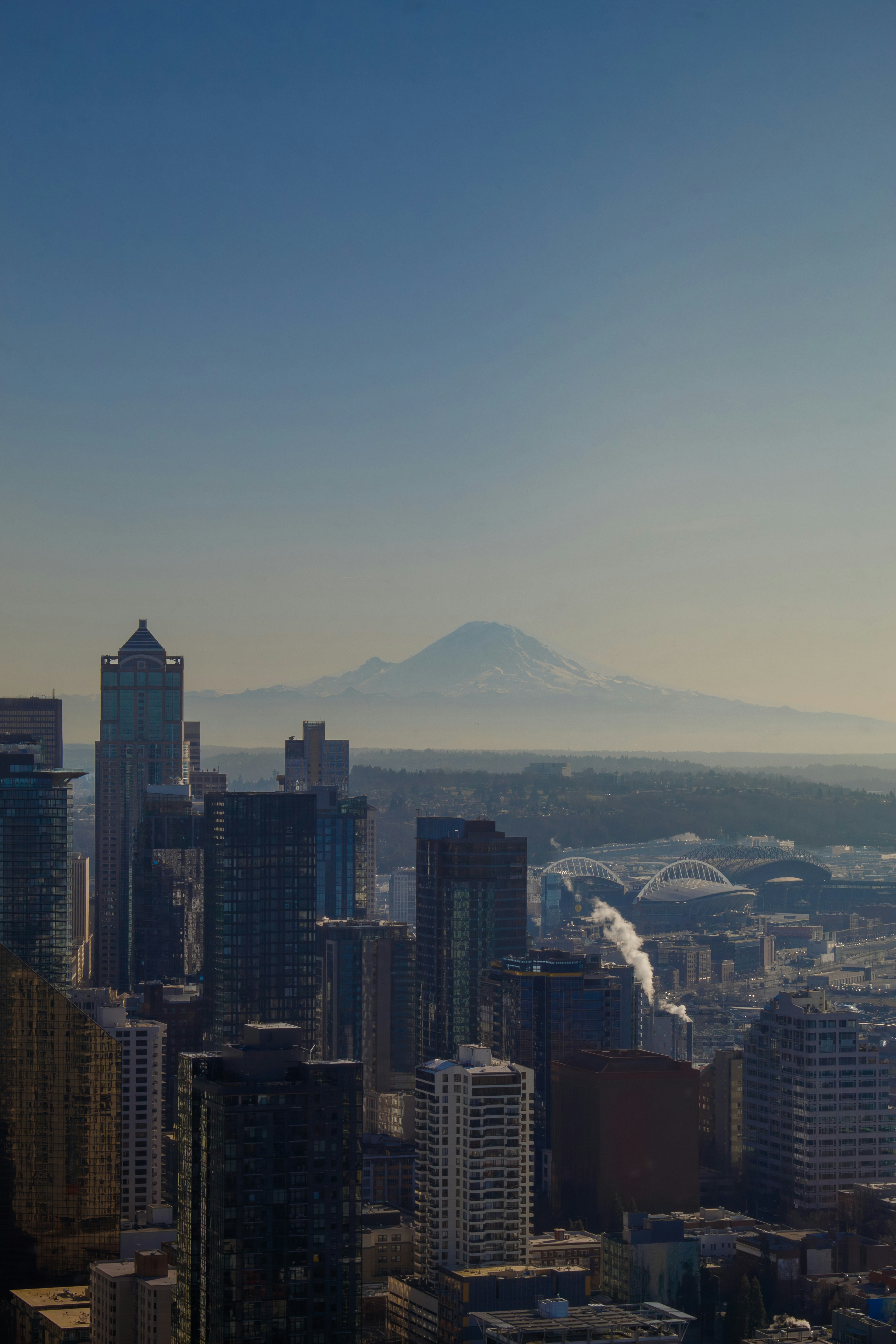 Urban Spine Reaching for Snow-Capped Peaks