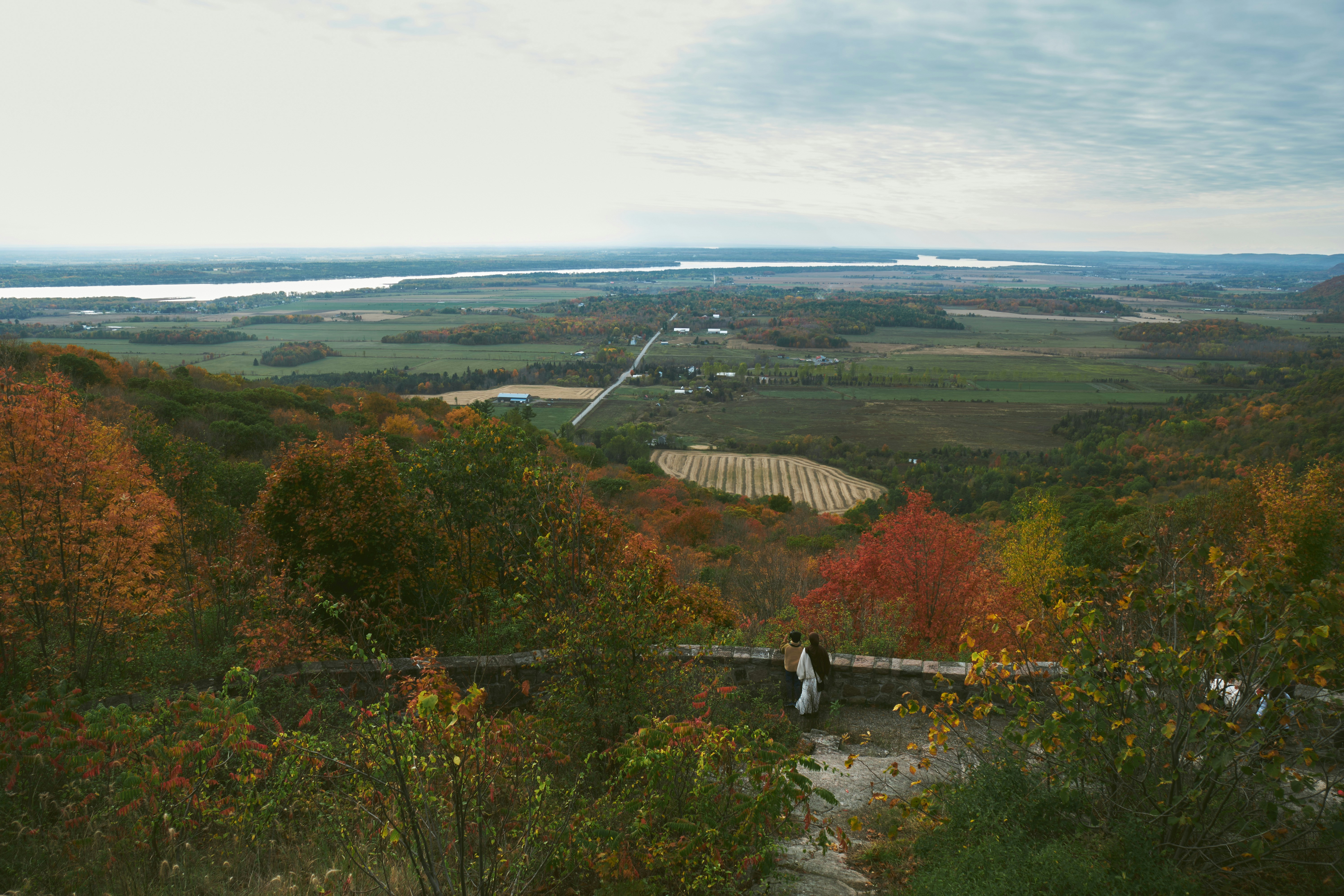 Autumn Overlook: A River Delta Unfolds Beyond a Forked Hill