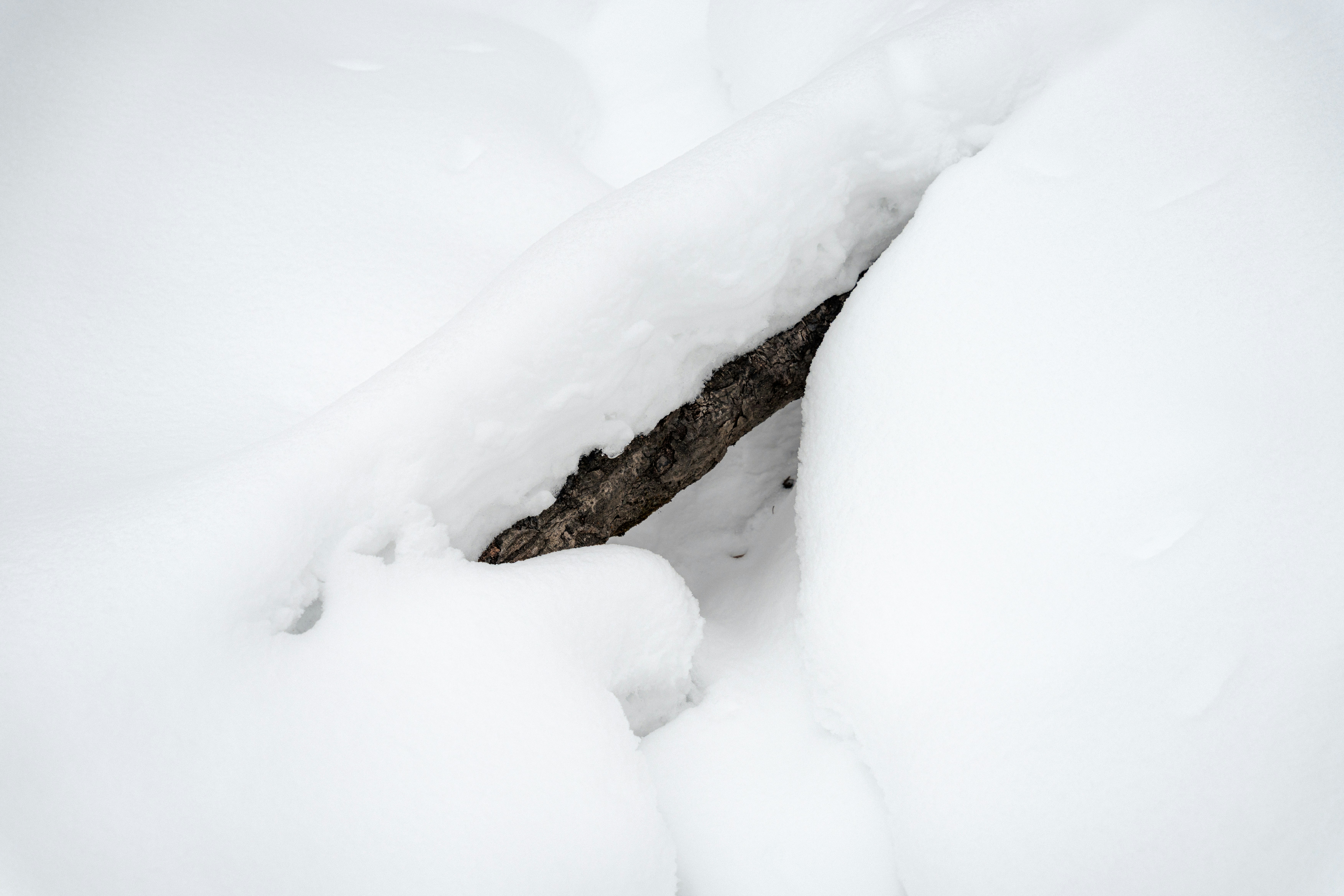 Hidden Clef: A Snow-veiled Crevice Reveals Earthy Edge