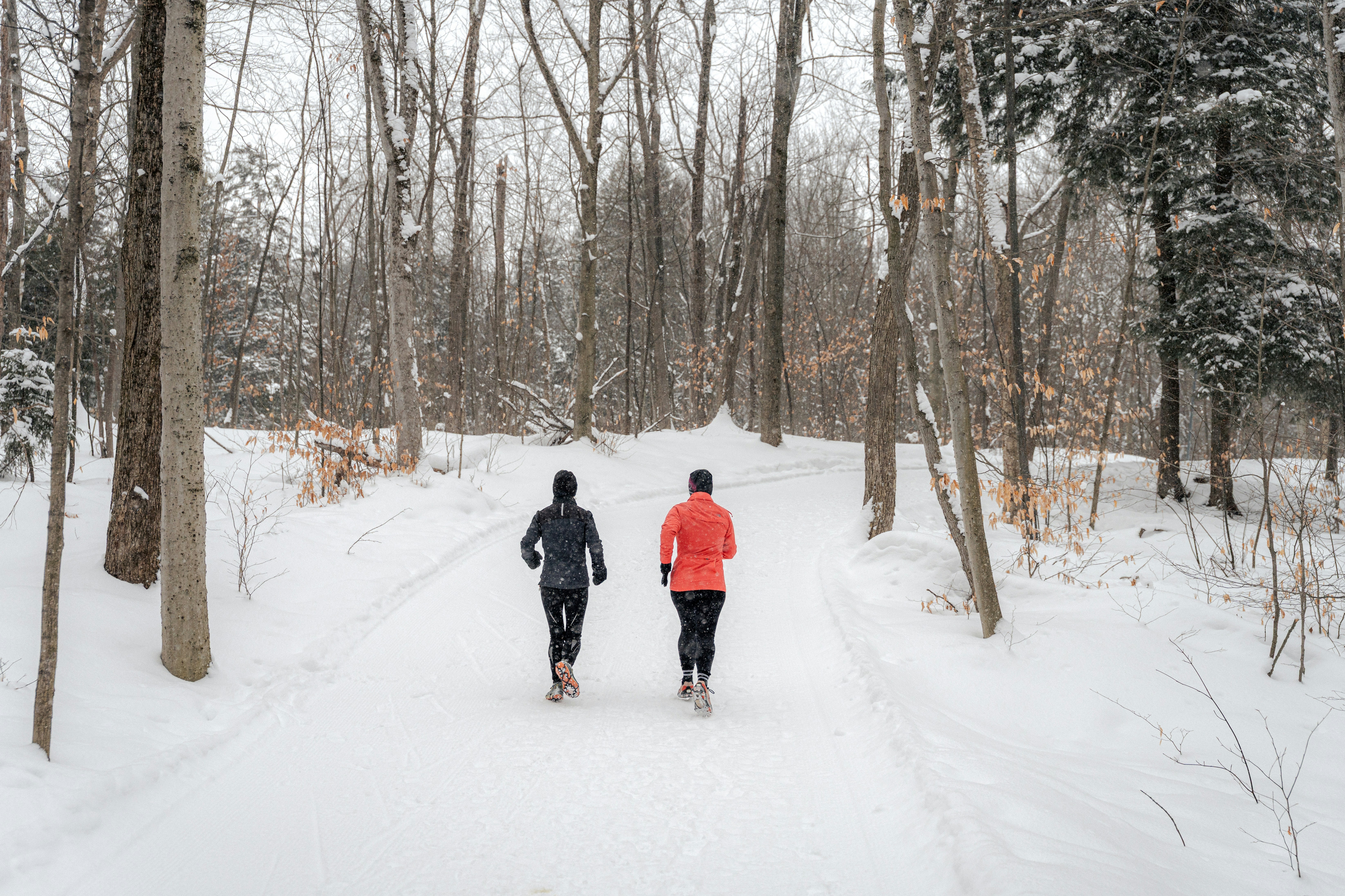 Two runners on a snow-covered winter trail