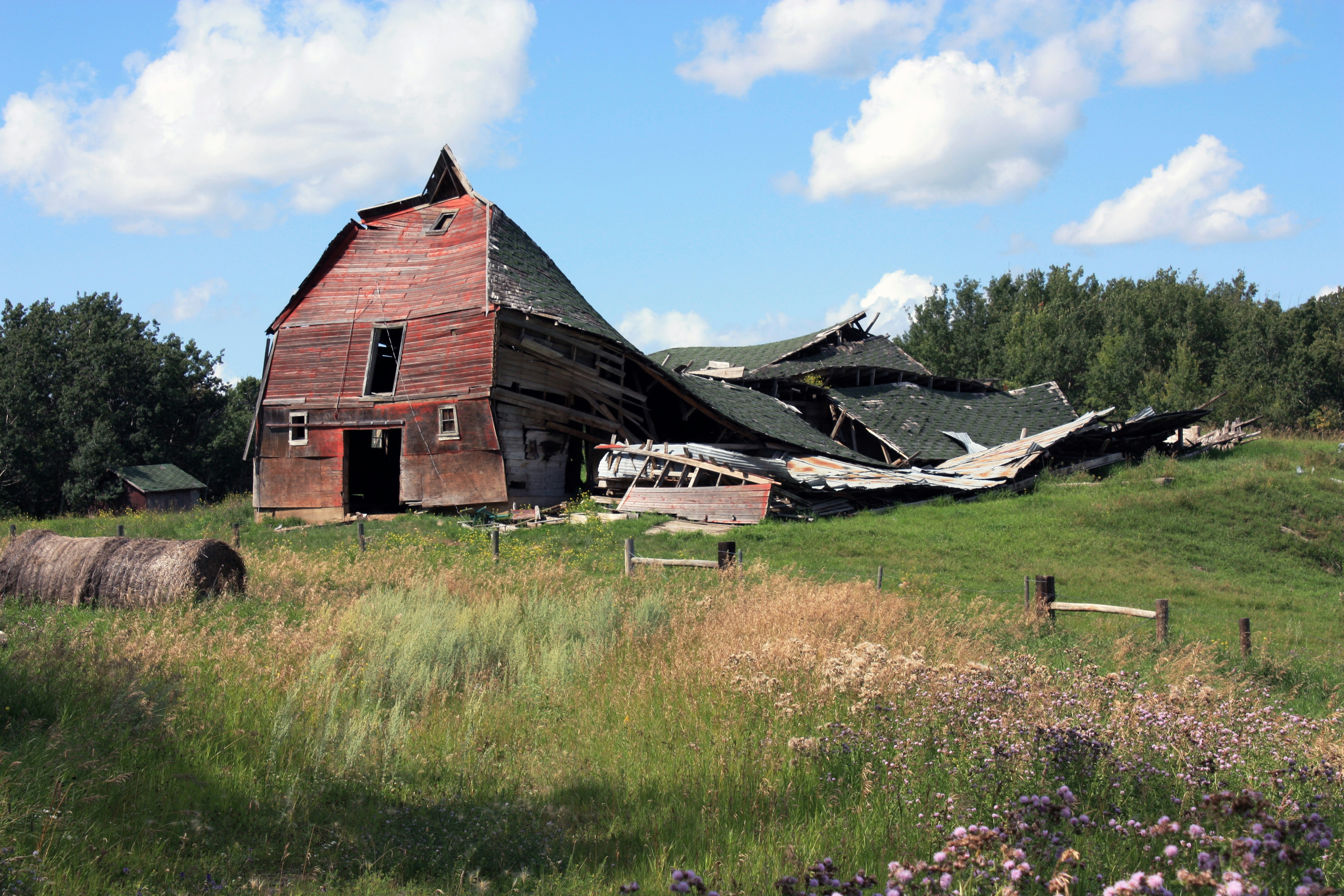 Fallen Barn, Quiet Field: A Forgotten Structure in Open Grassland