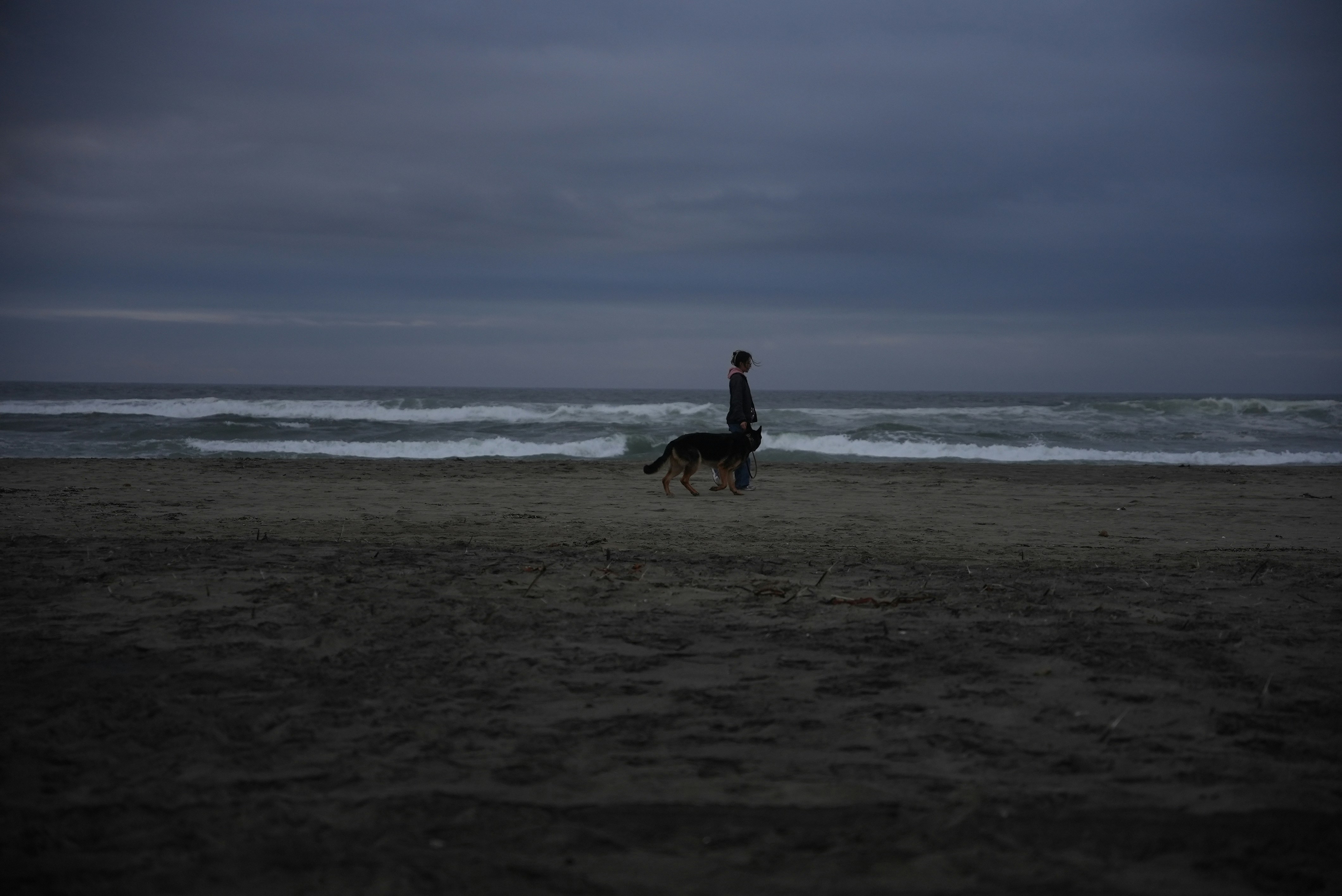 Stray Walk at Dusk: A Lone Figure with a Dog on a Quiet Shore