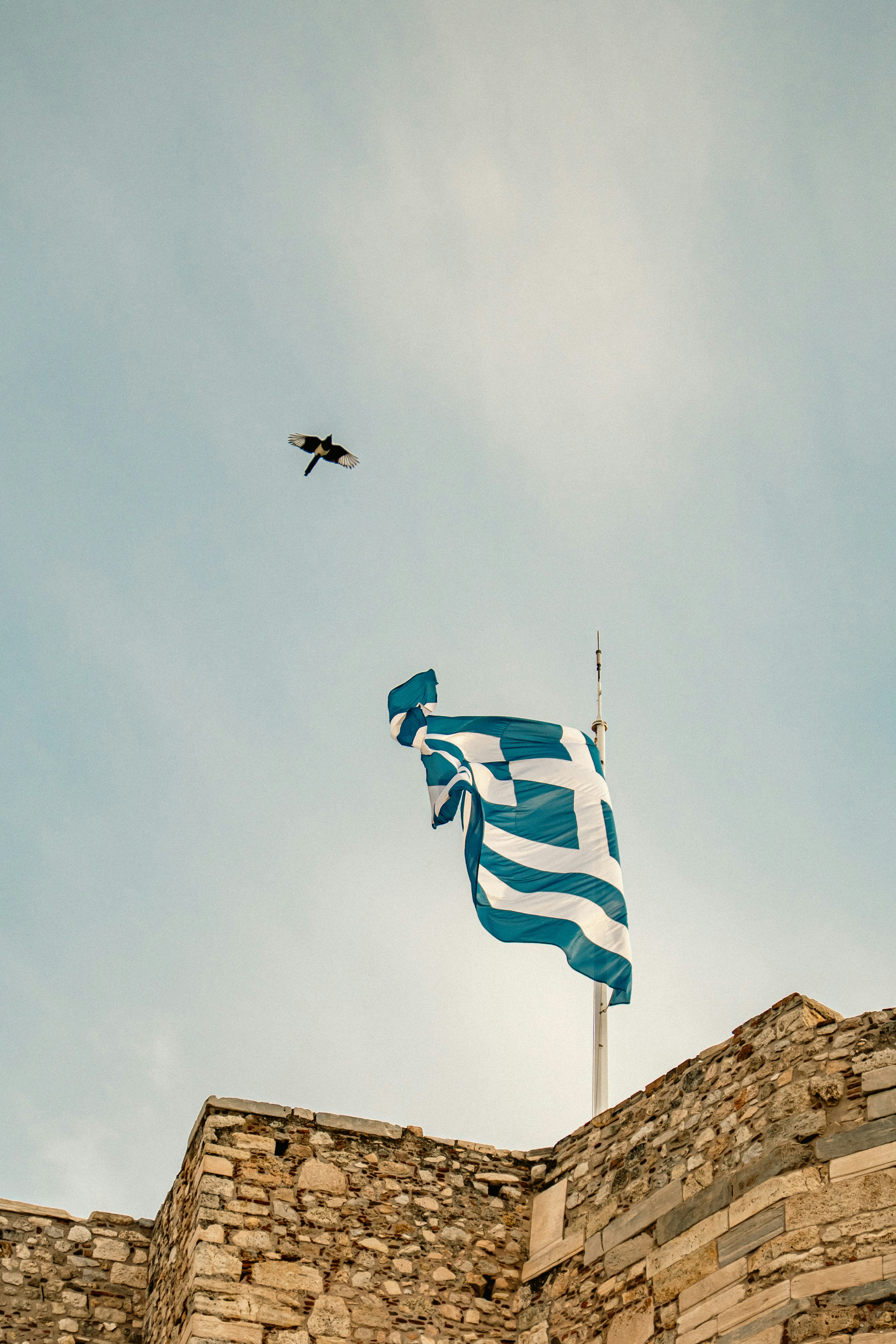 Flag and Falcon: A Quiet Moment Above Ancient Stones