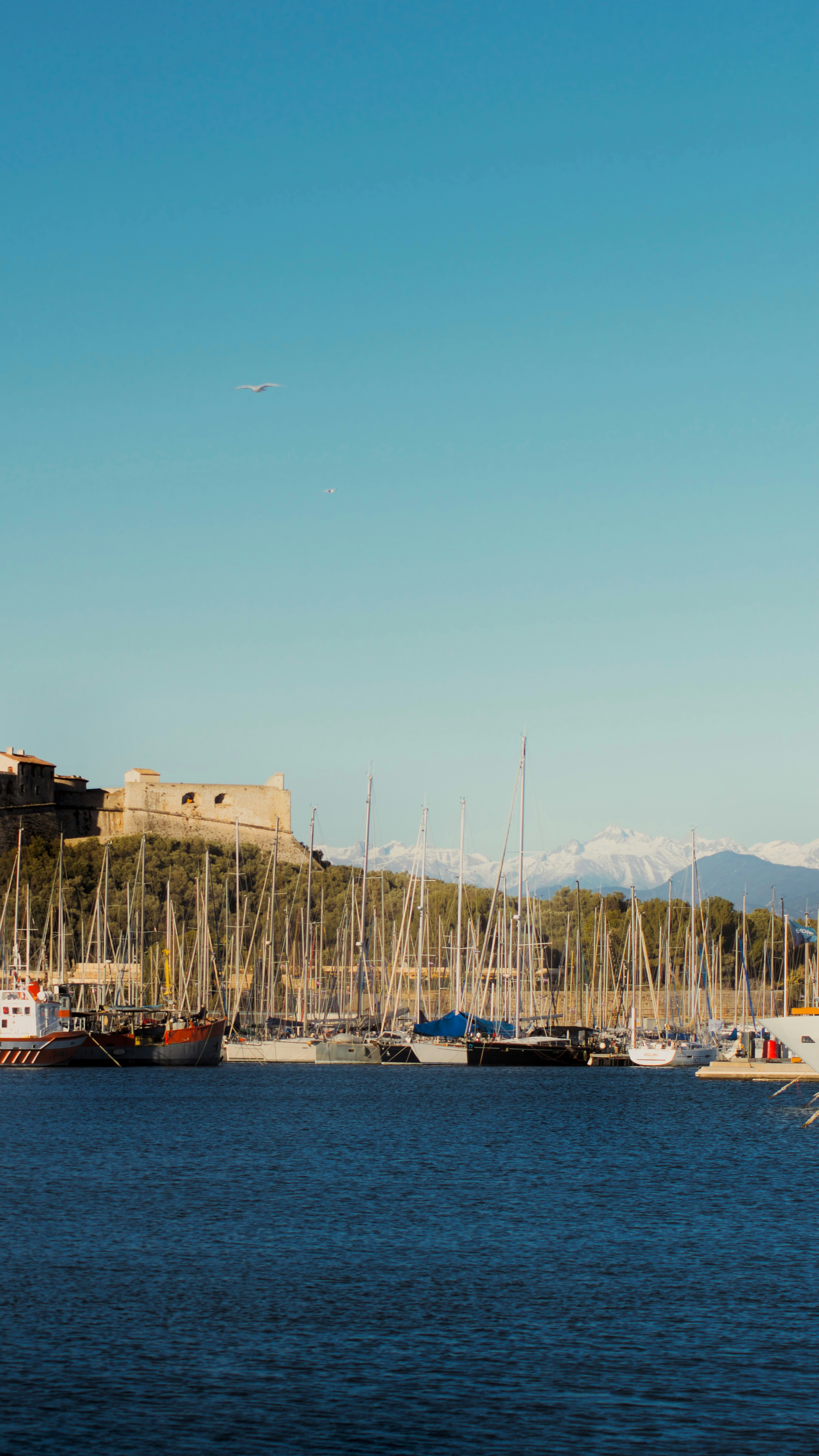 Harbor at Dusk: Boats, Castle Ruins, and Snow-capped Peaks