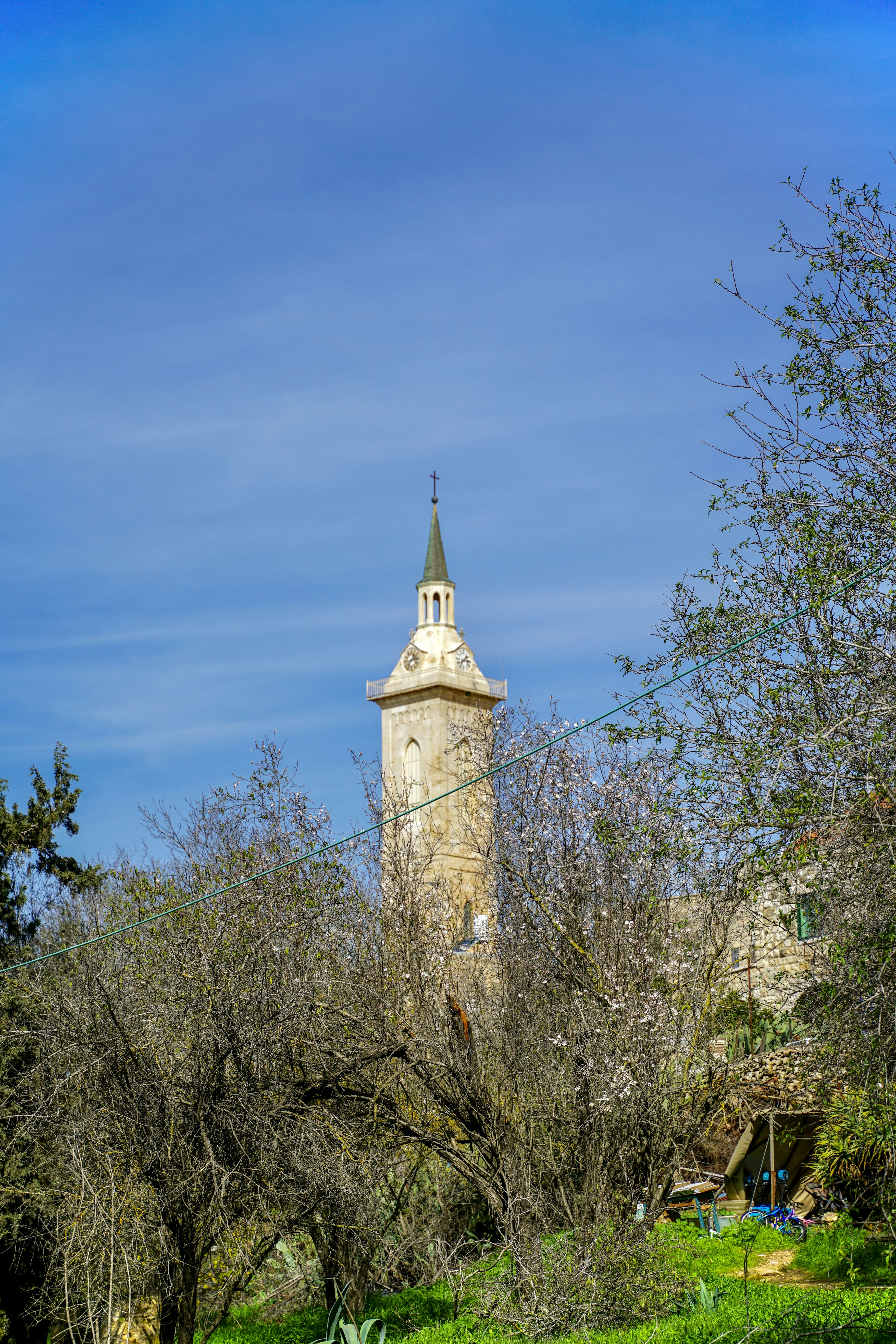 Clocktower Amid Spring Orchard