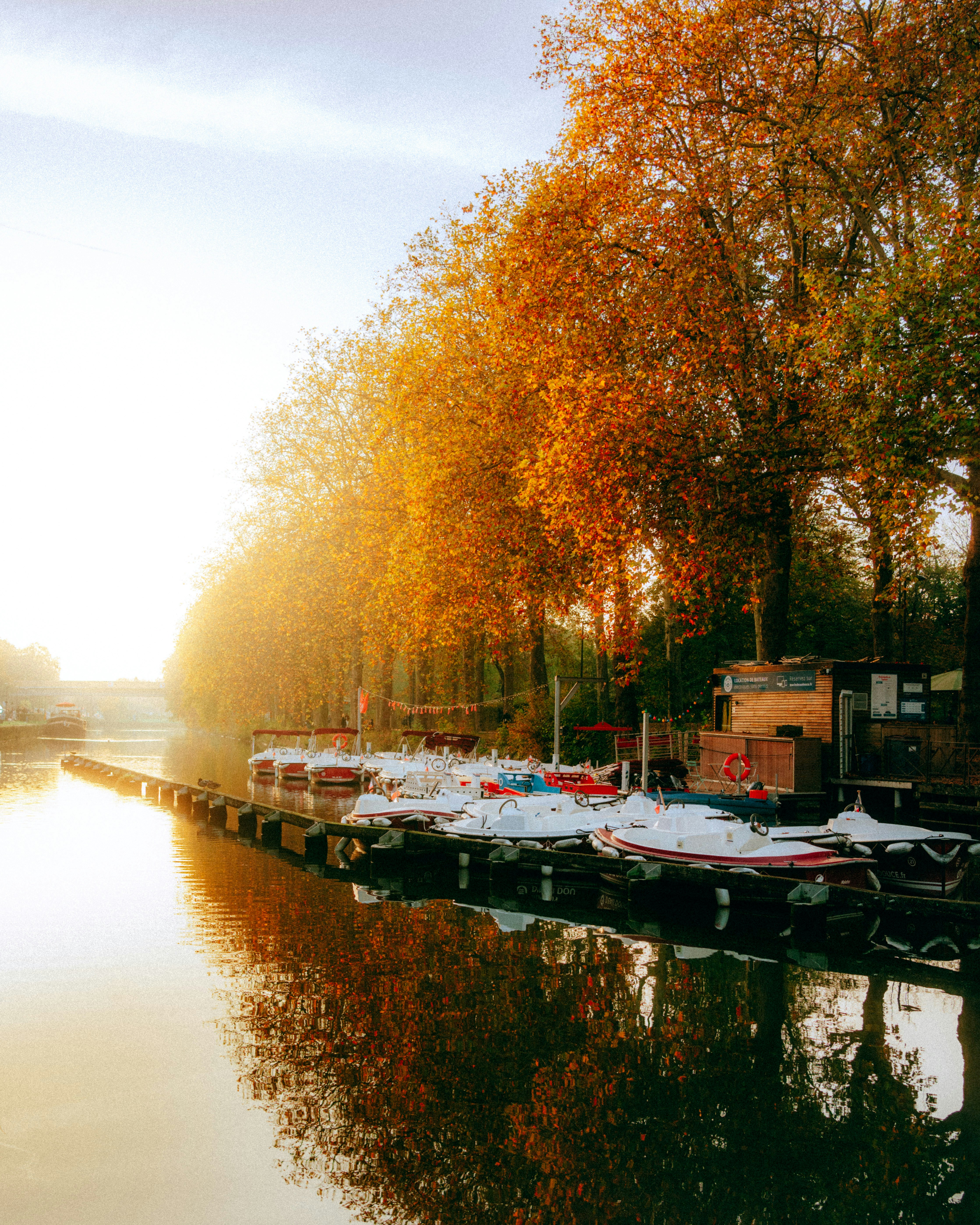 Autumn Docks: Boats, Reflections, and Golden Trees lining the River