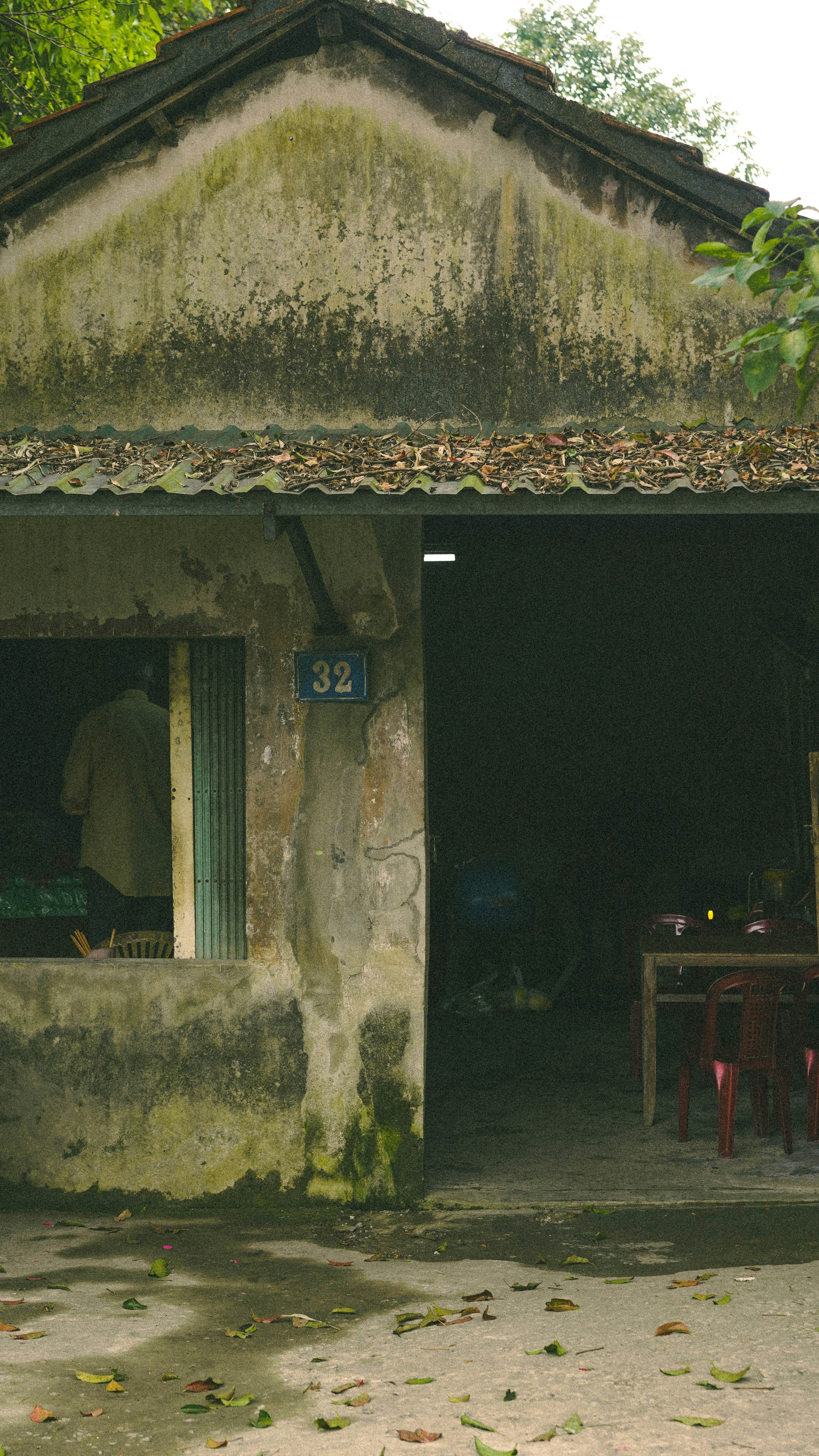 Weathered doorway under a mossy gable reveals a quiet domestic scene