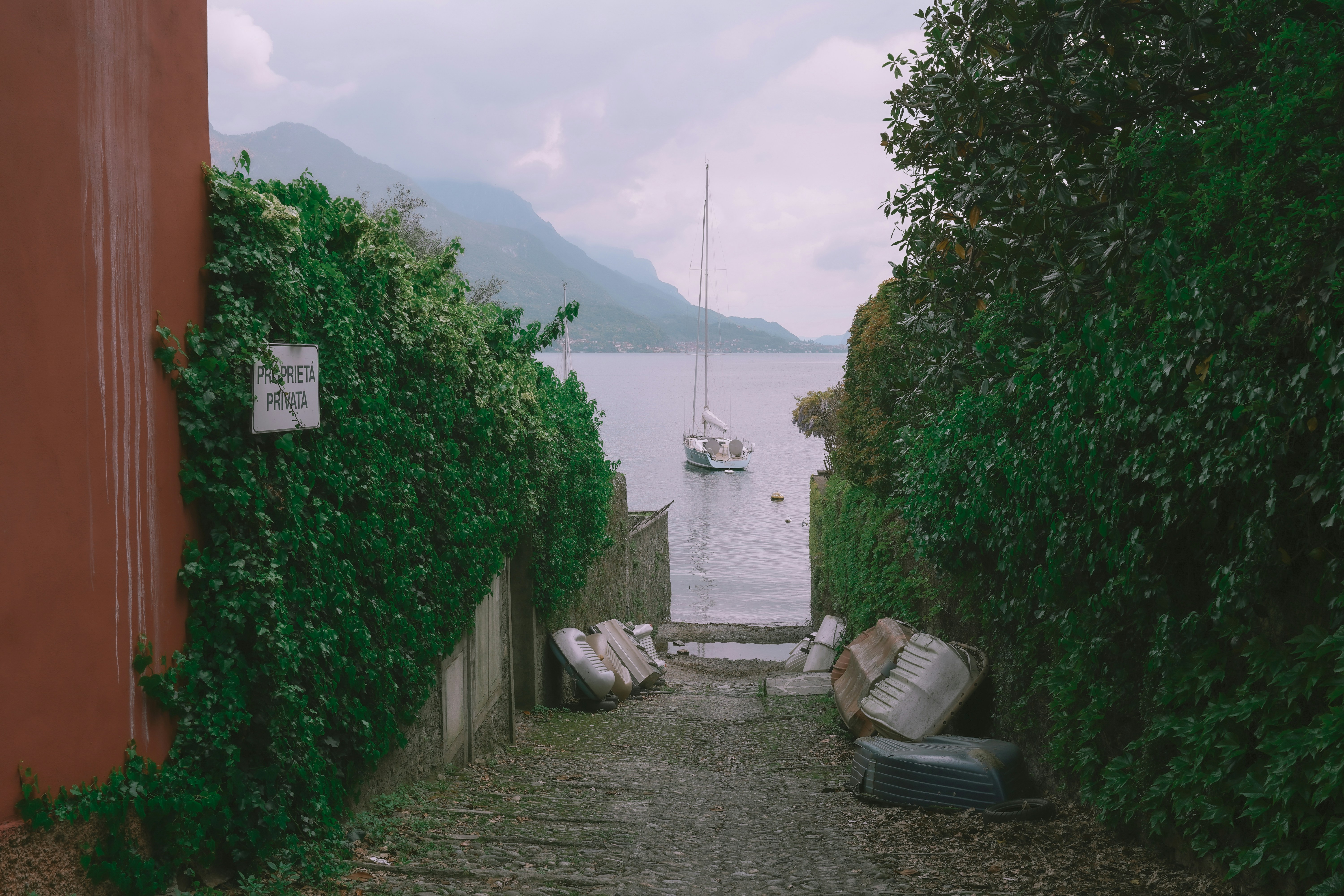 Gate to the Lake: A Rustic Corridor Opens to Tranquil Waters