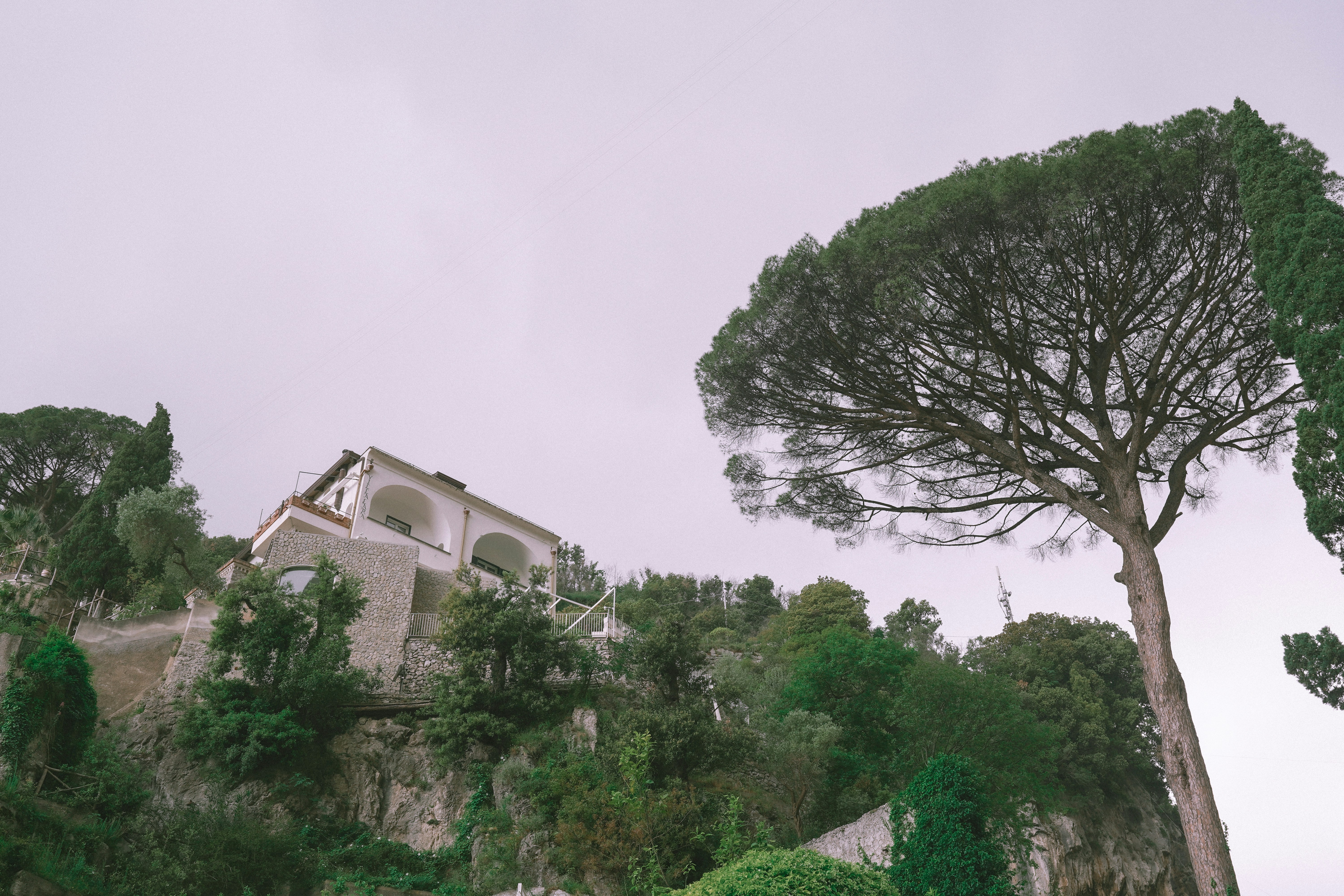 Villa perched on the hillside under a sweeping umbrella of pine