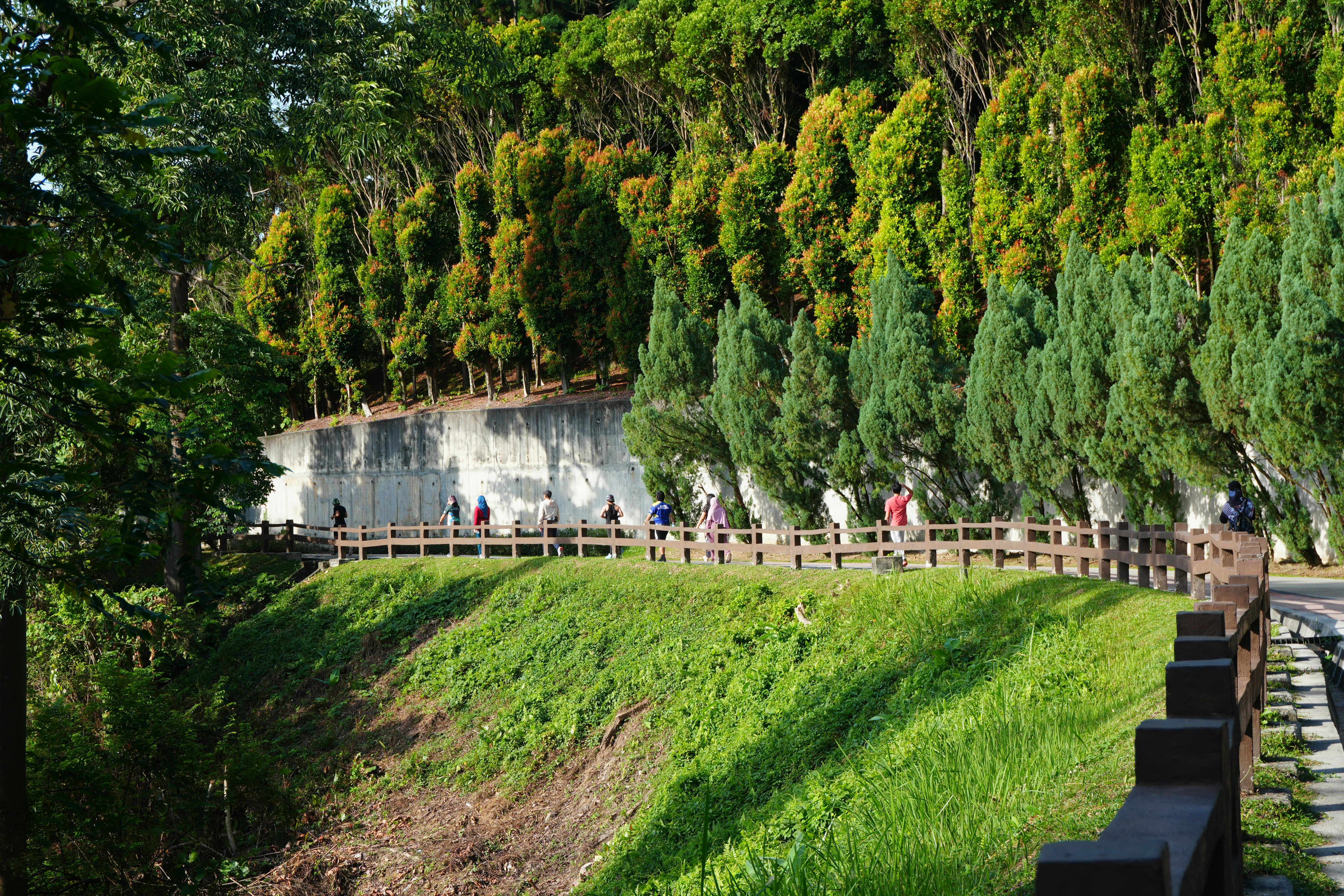 Sunlit riverside walkway lined with trees