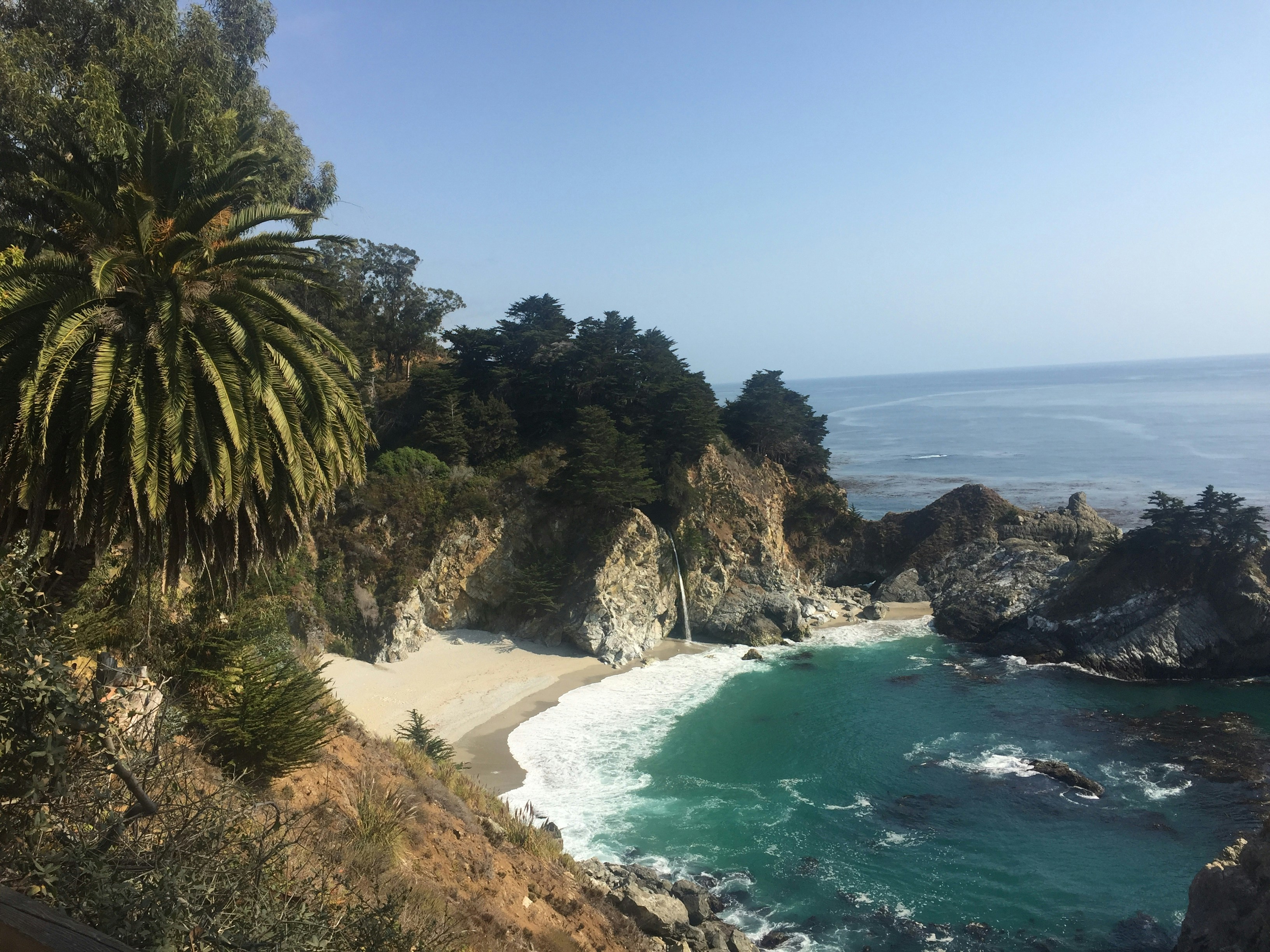 Hidden Cove at the Edge: Cliffside Beach Beneath Coastal Pines