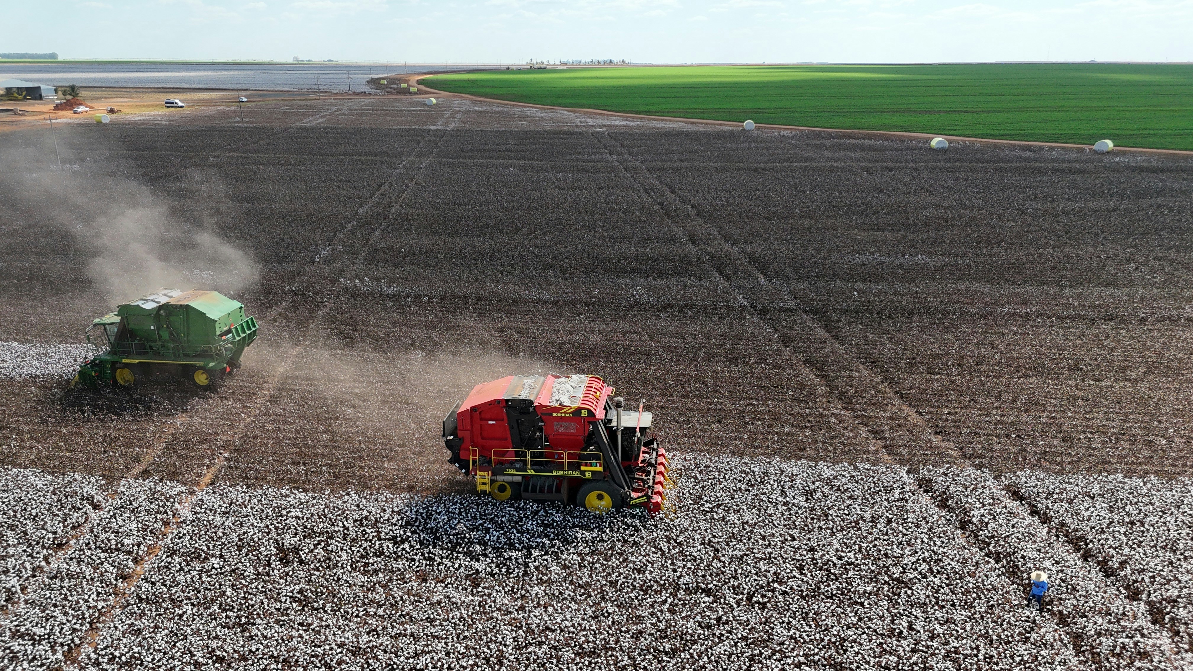Aerial Harvest: Dual Harvesters Traverse a Vast Field