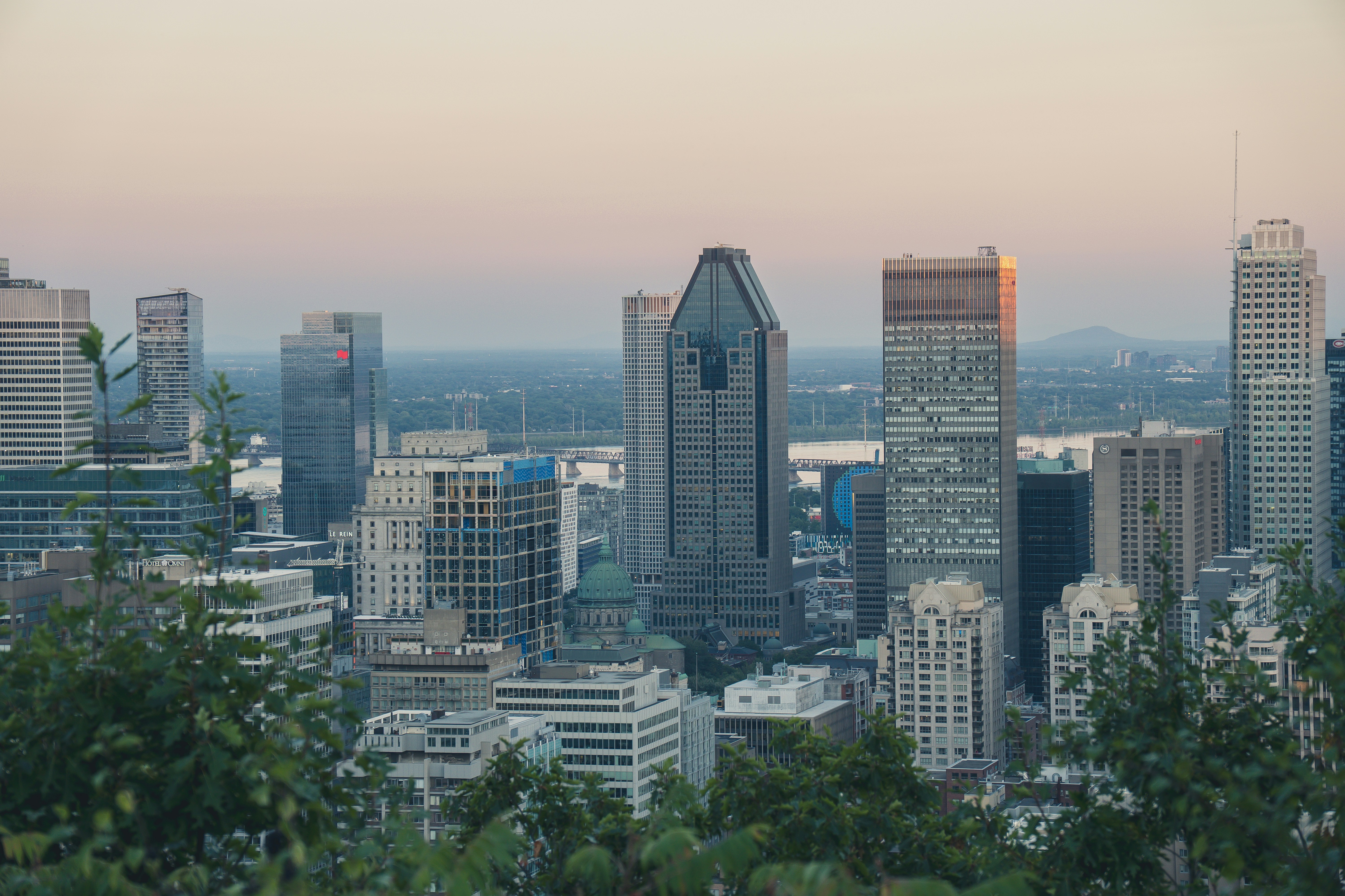 Dawn Crest: City Skyline Rising Over Green Fringes