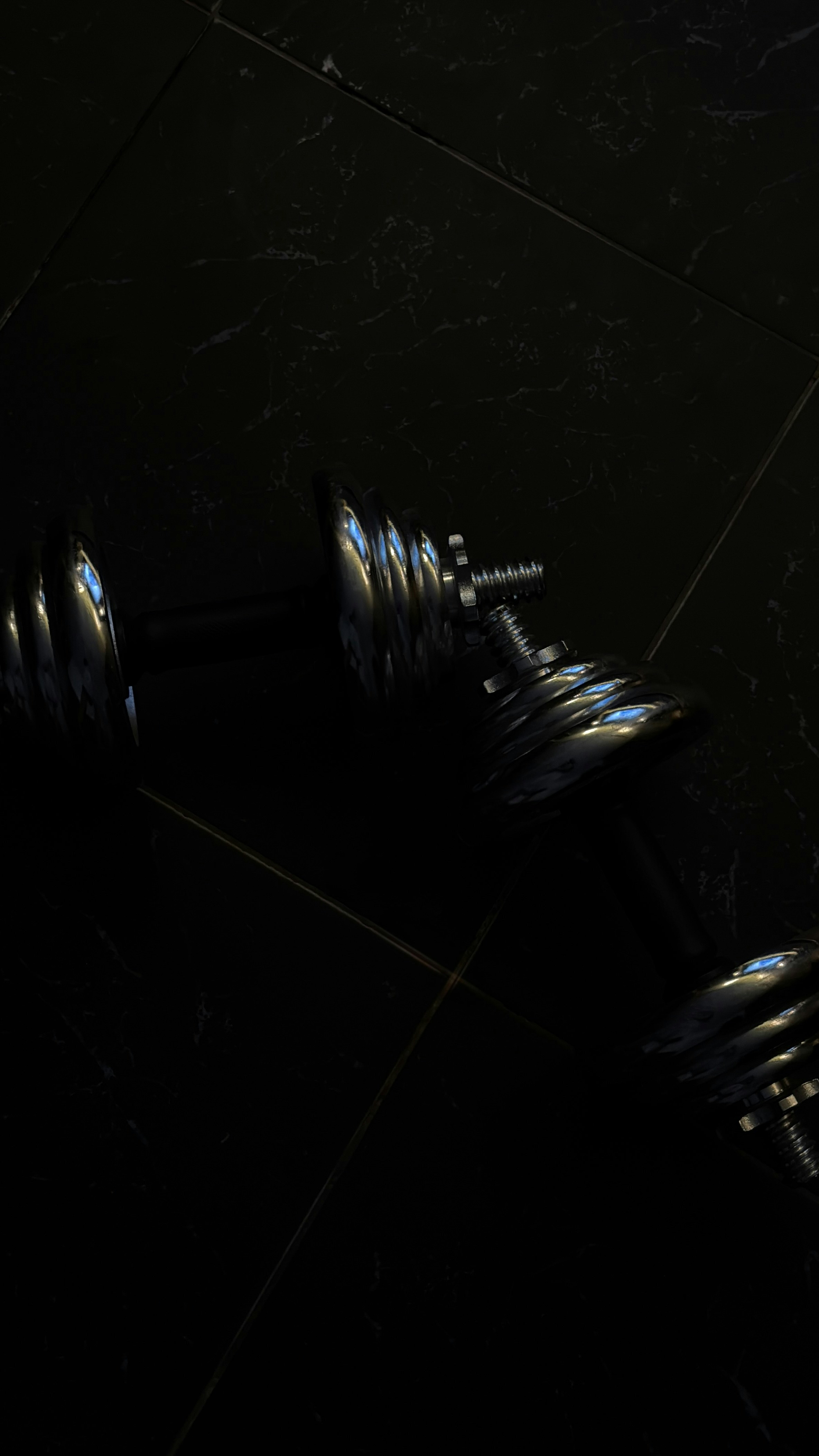 Two chrome dumbbells on a dark tiled floor