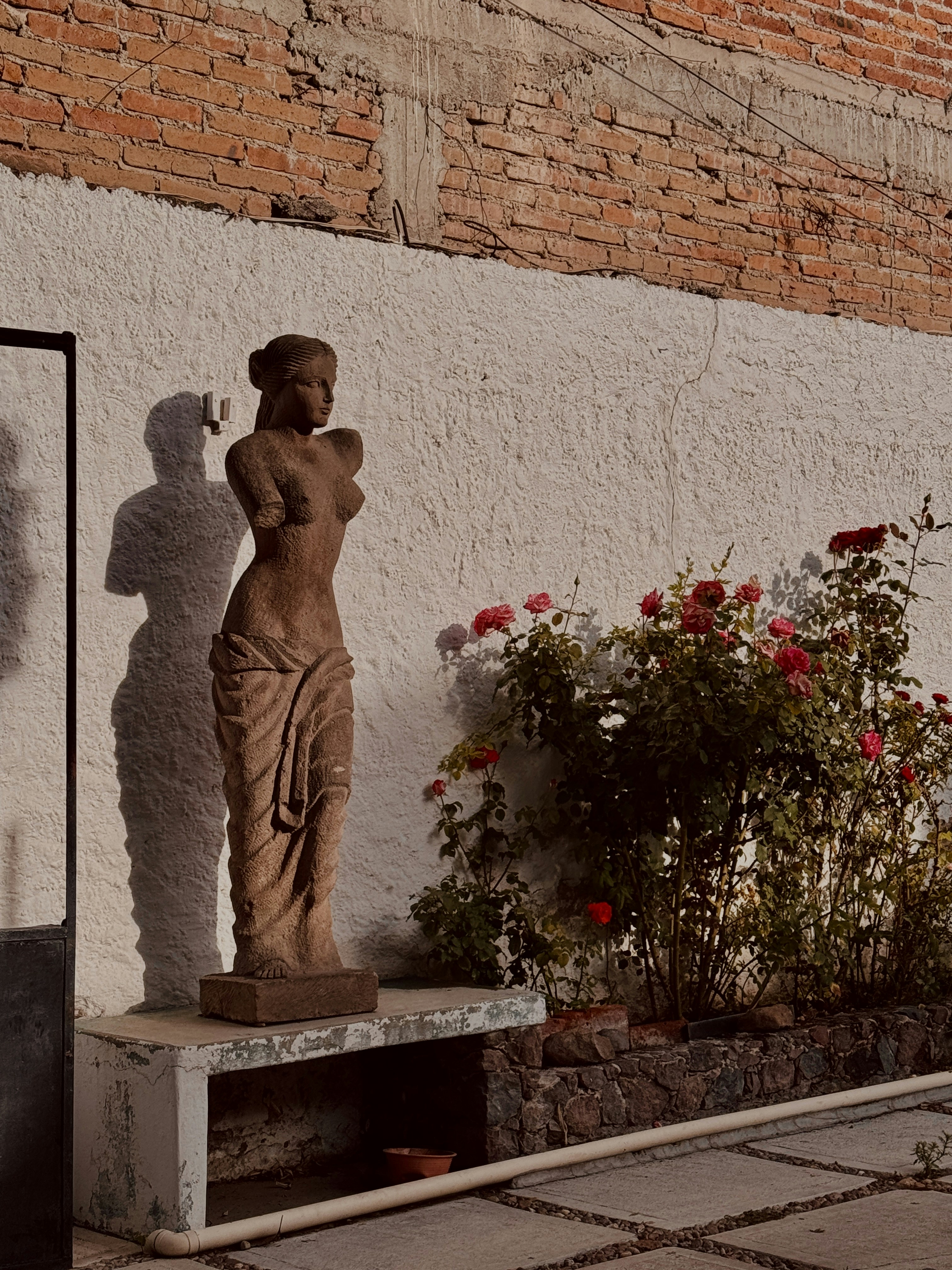 Statue and Rose Shadow on a Sunlit Wall