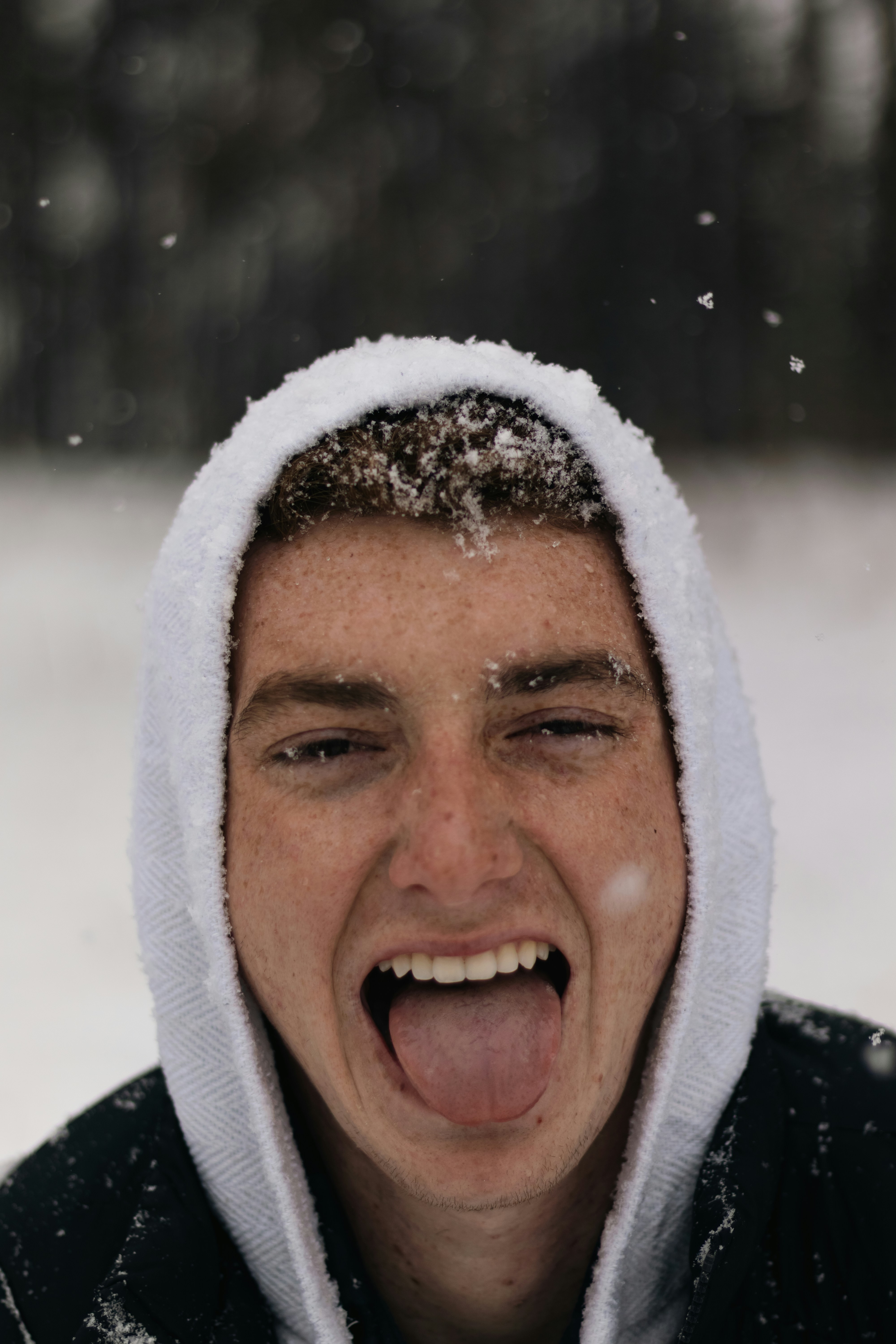 Snowy Glee: A candid shout into the winter light
