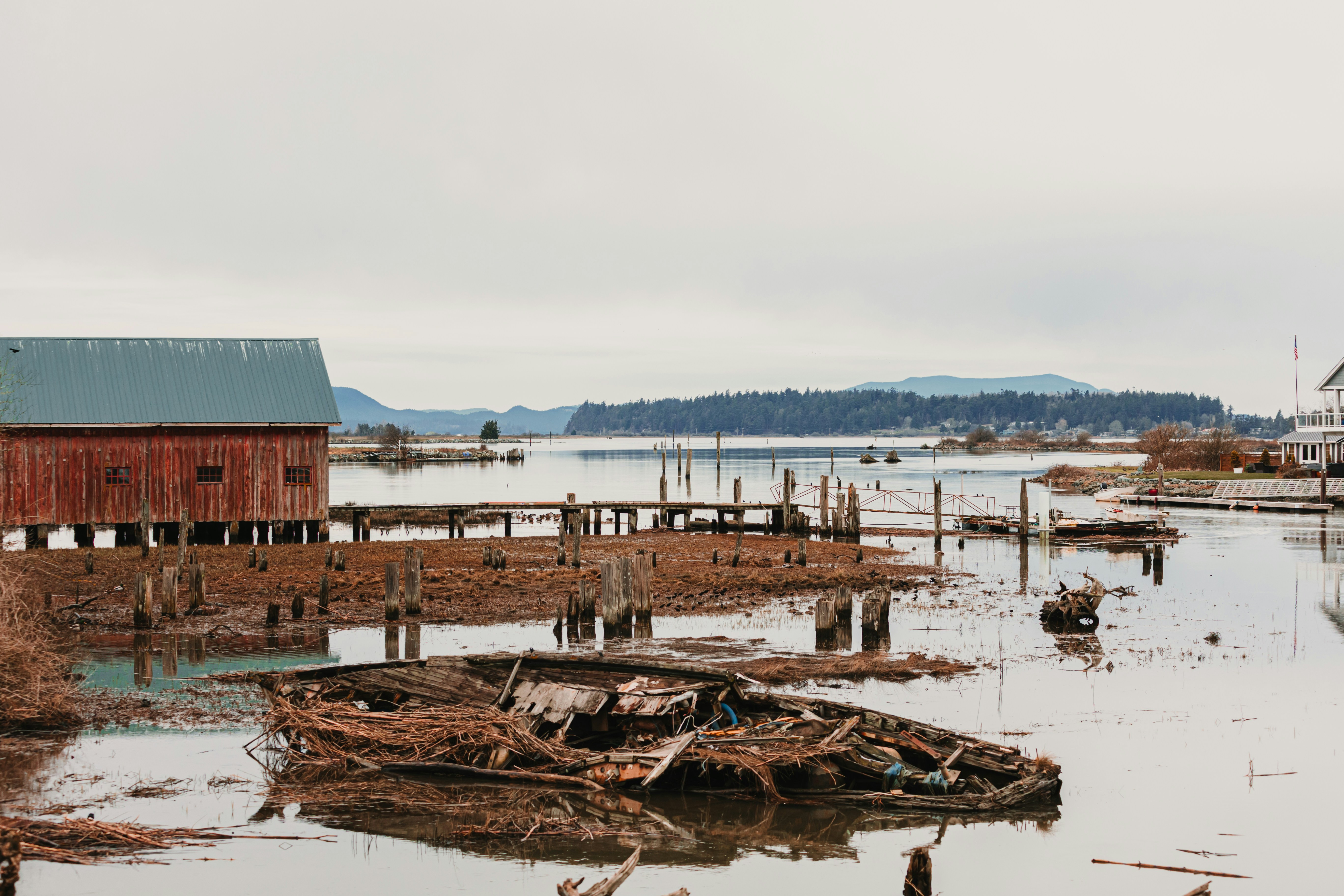 Weathered wharf and driftwood at a quiet inlet