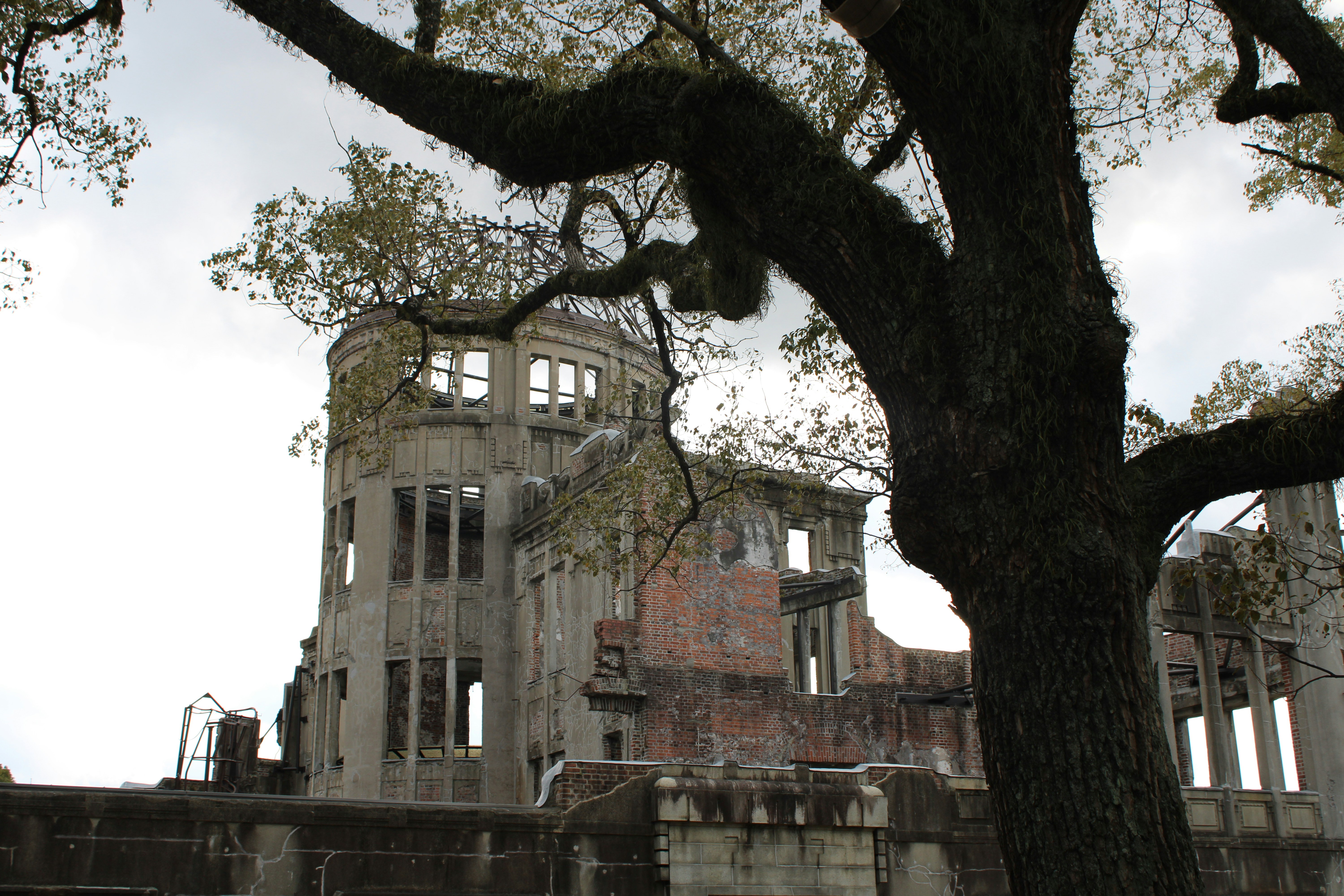Decay in Stone: A Lone Tree Framing a Ruined Mansion