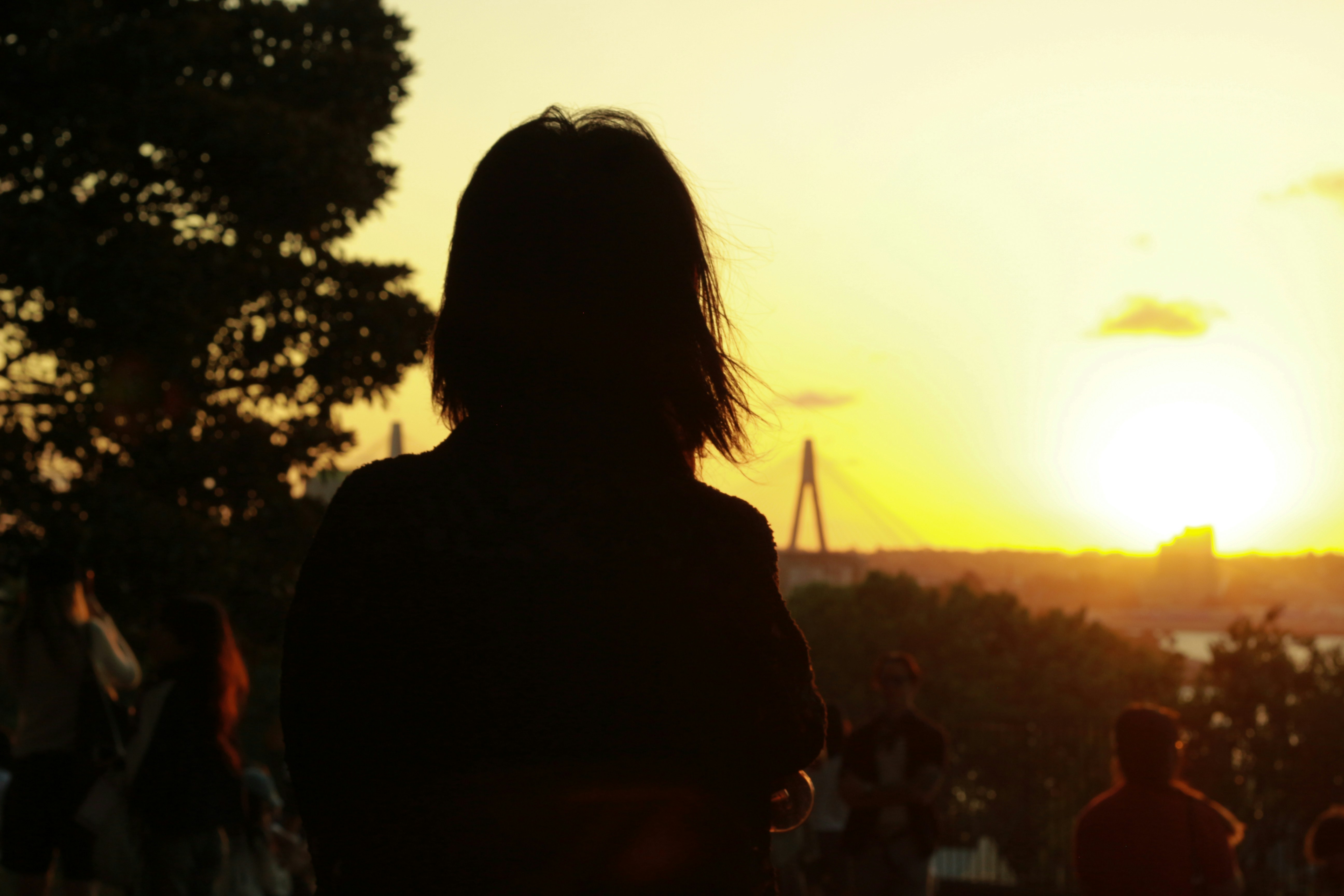 Silhouette at Golden Hour: A Hero in the Sunset
