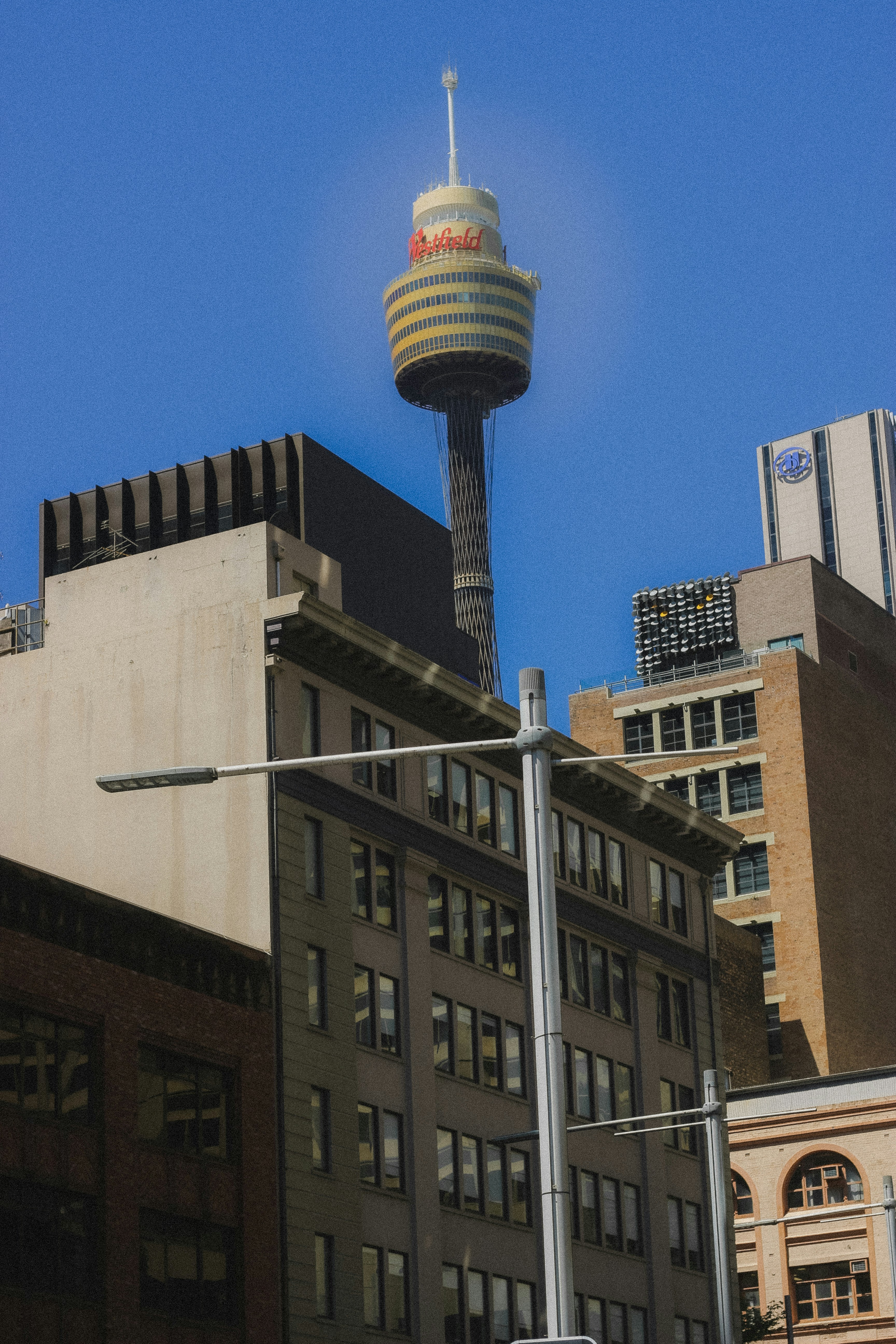 City Tower Sentinel Above the Rooftop Grid